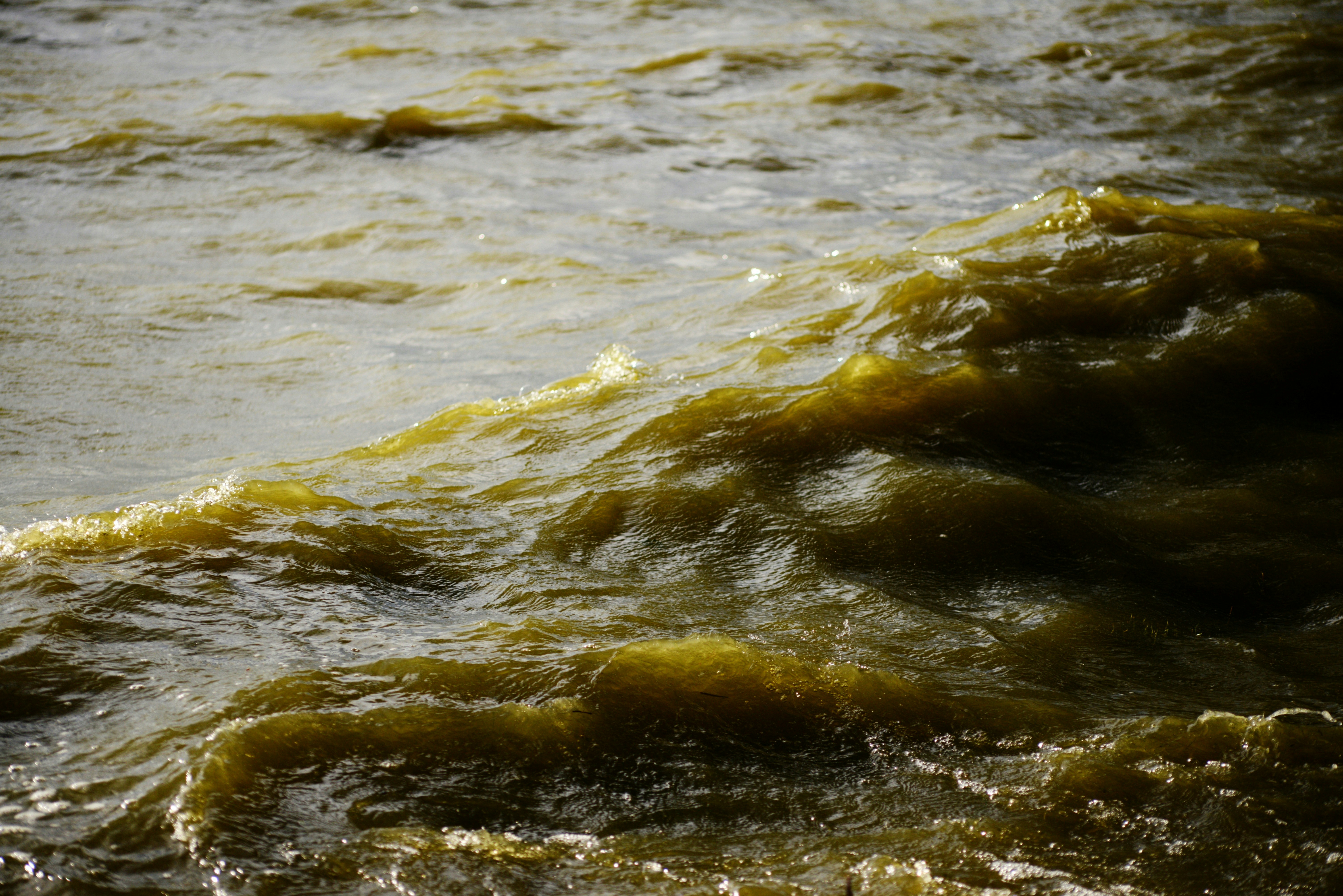 Photo by Liana S with Nikon D600