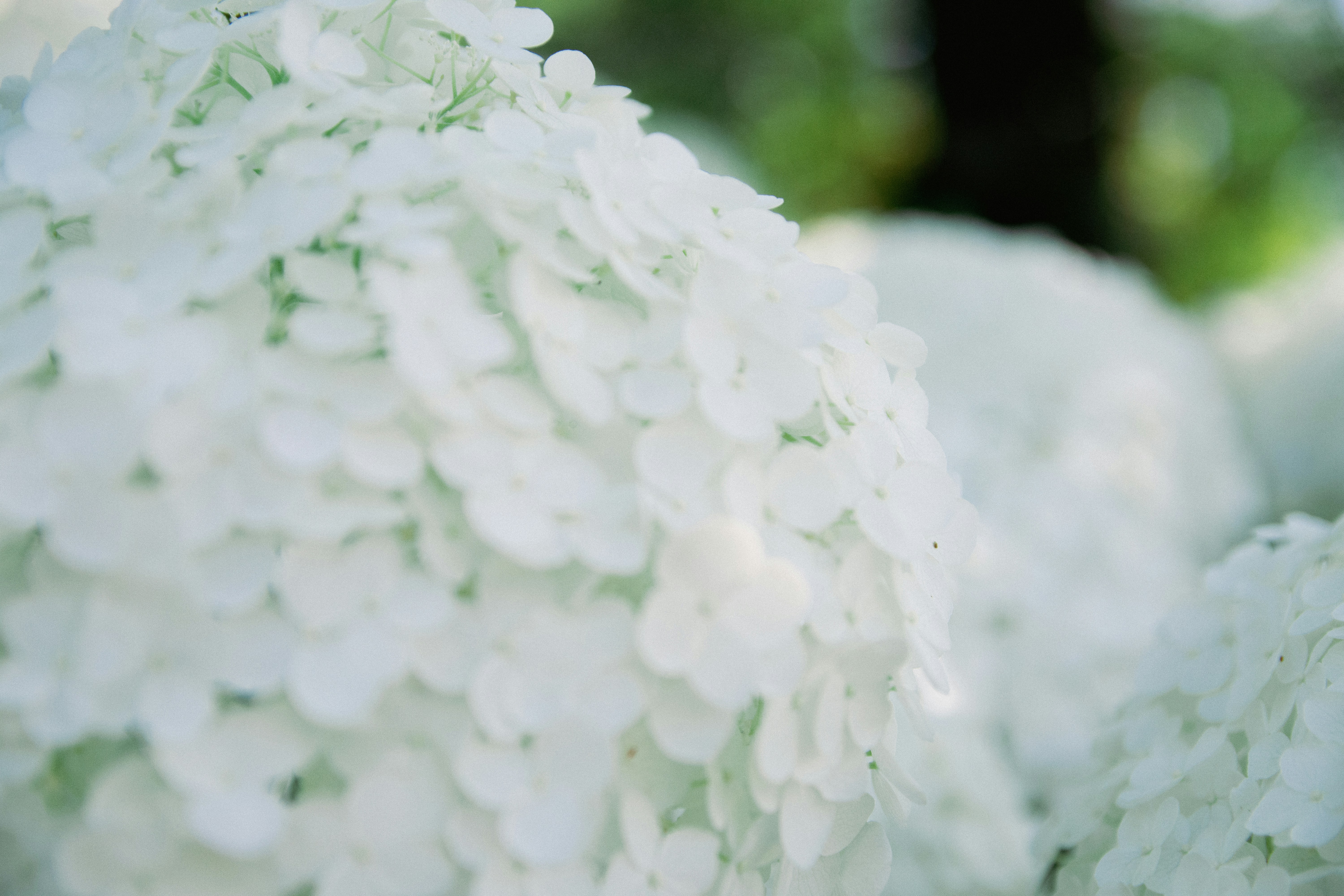 Photo by aw with Nikon D7200