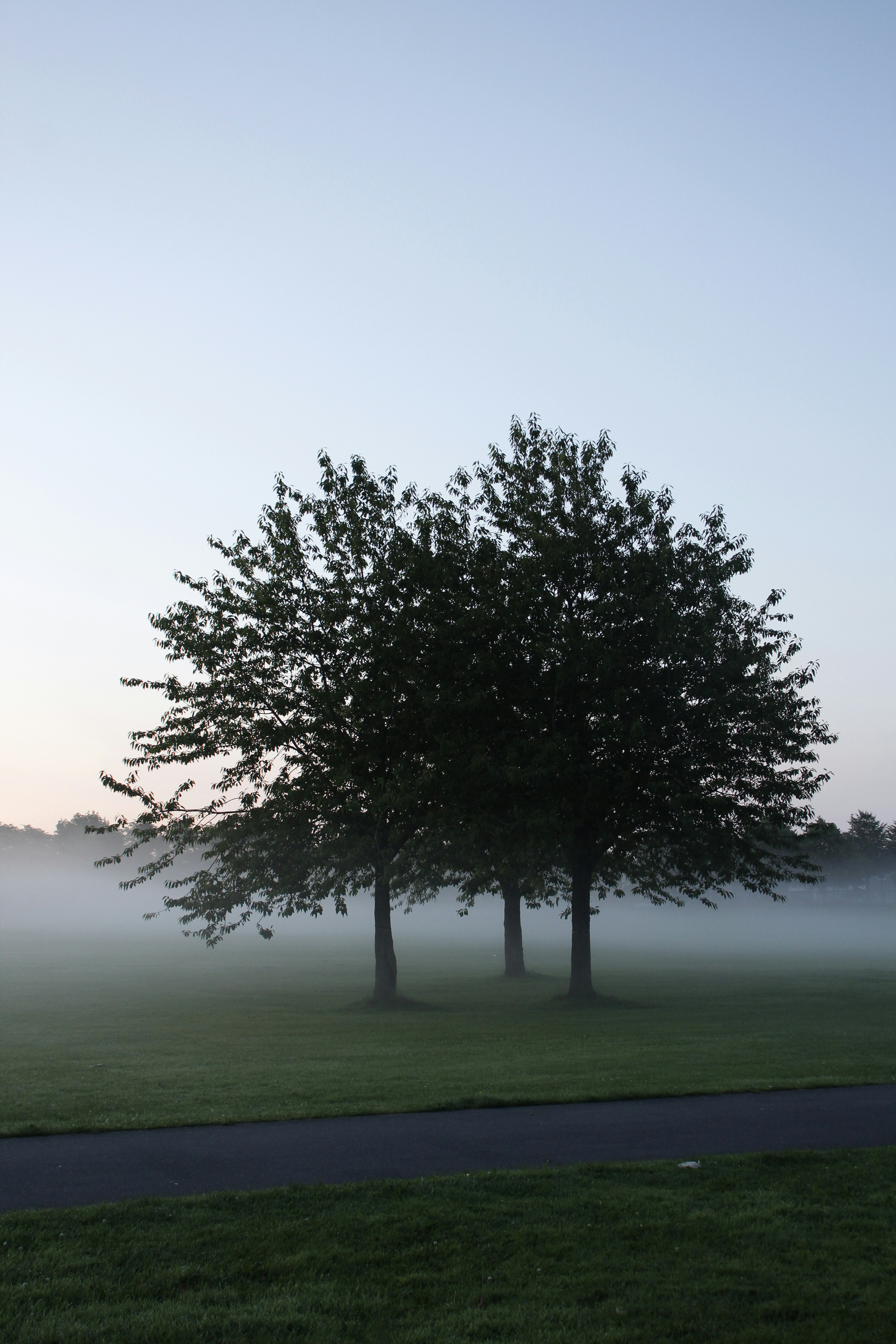 Photo by Camden with Canon EOS 1200D