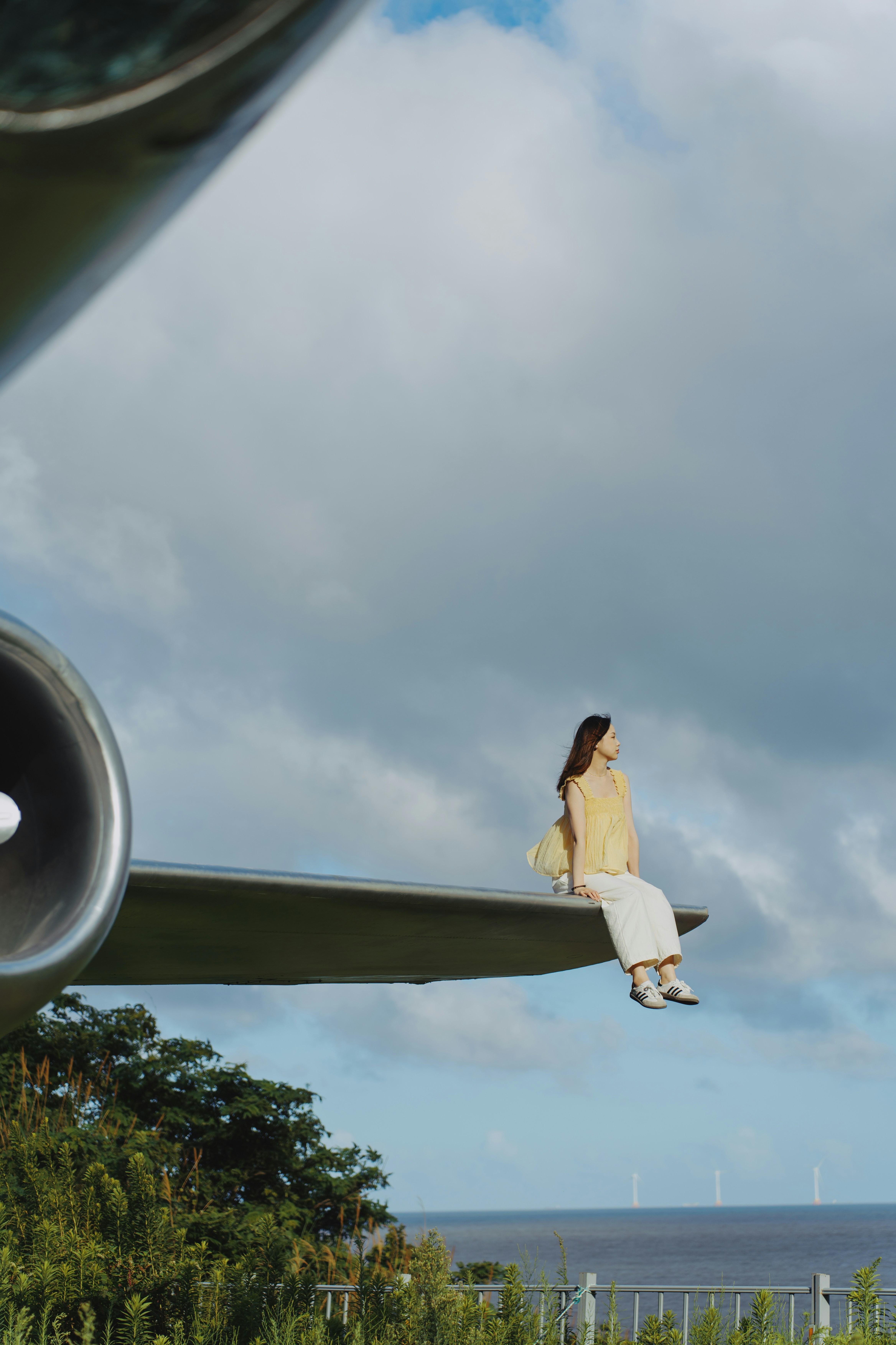 High Above the Sea: A Solitary Moment on a Winged Canvas