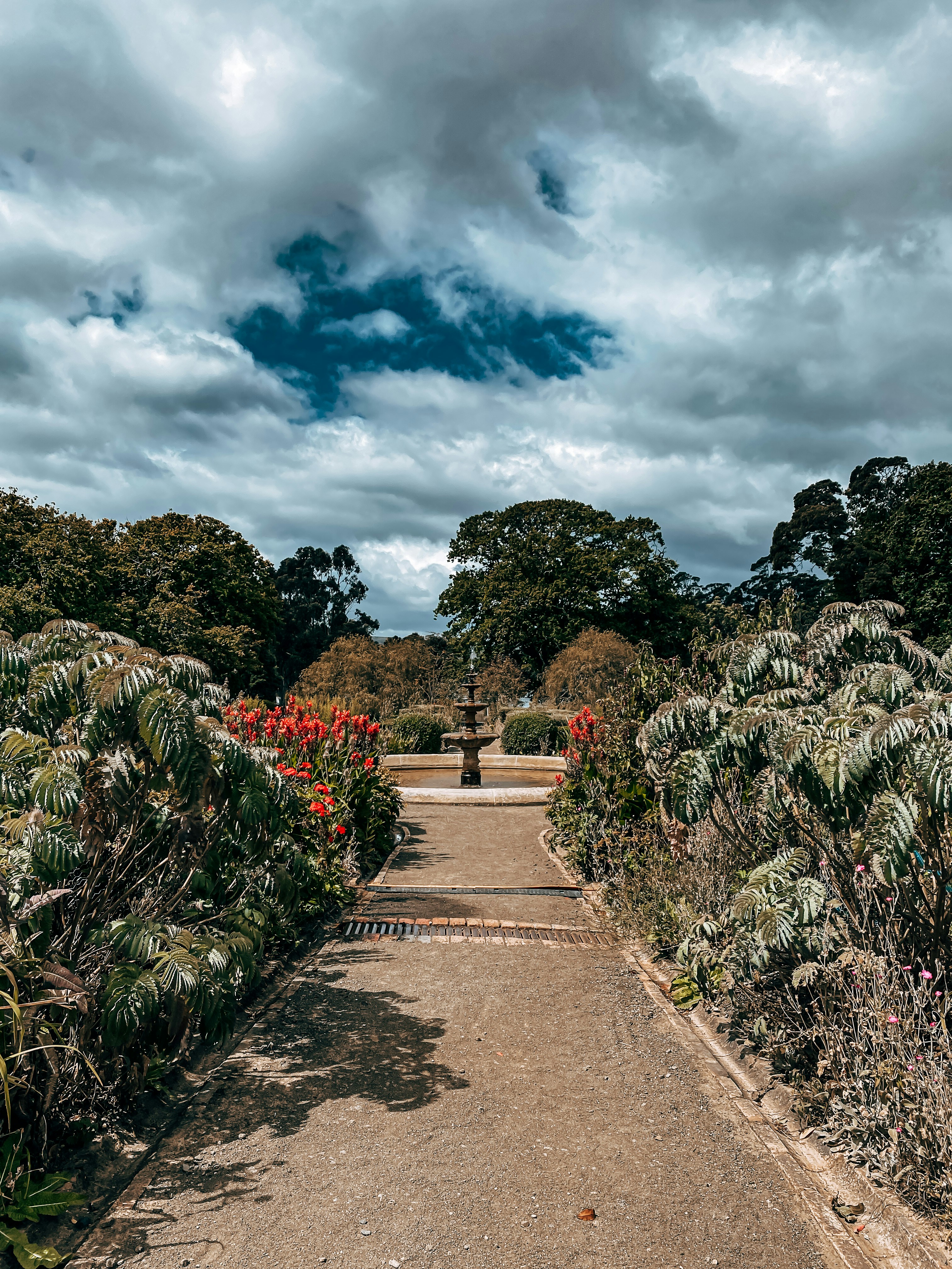 Pathway to Serenity: A Garden's Embrace