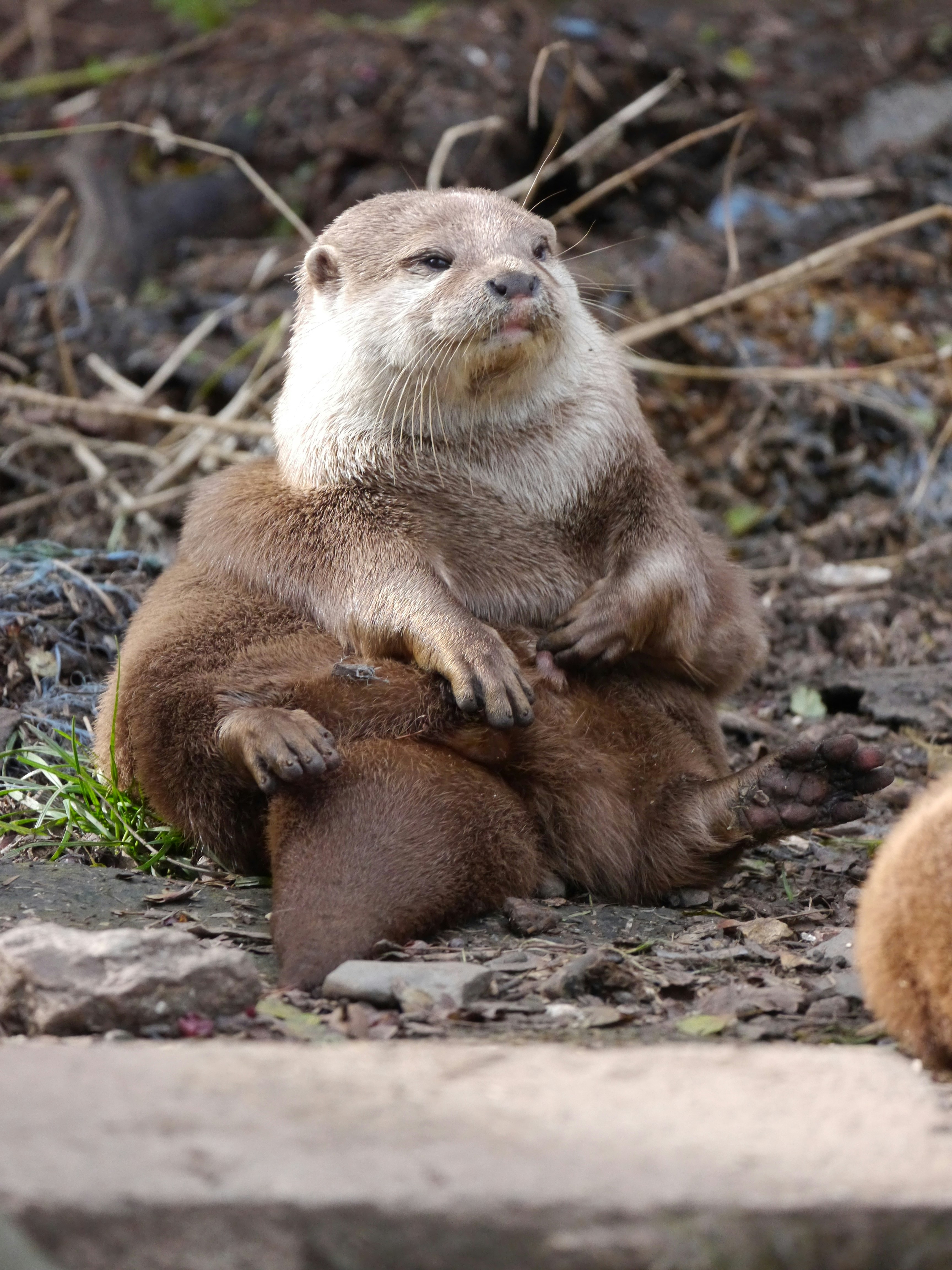 Photo by Jim with Panasonic Lumix G5