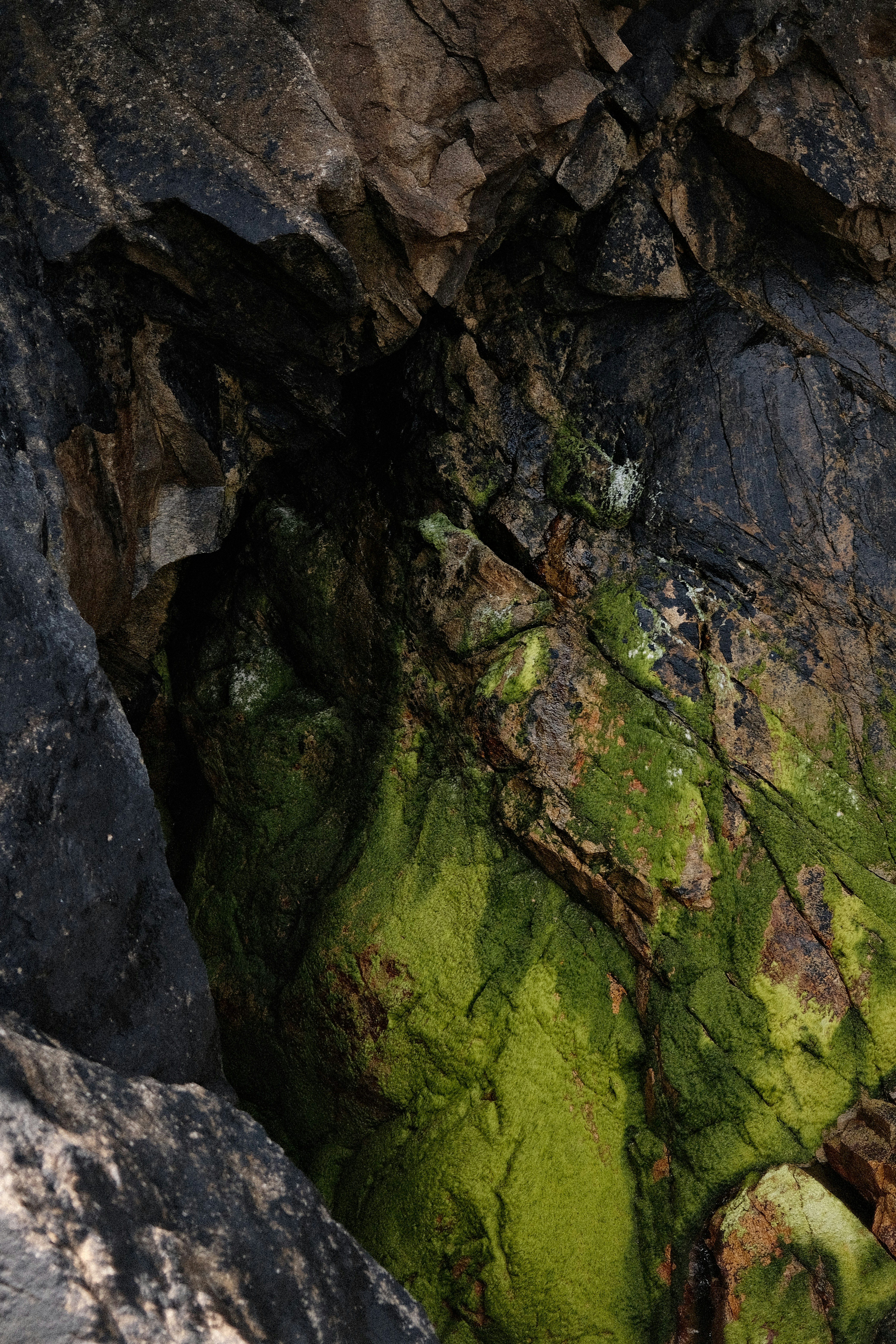 Green Vein in a Shadowed Cavern: Moss Clings to Basalt