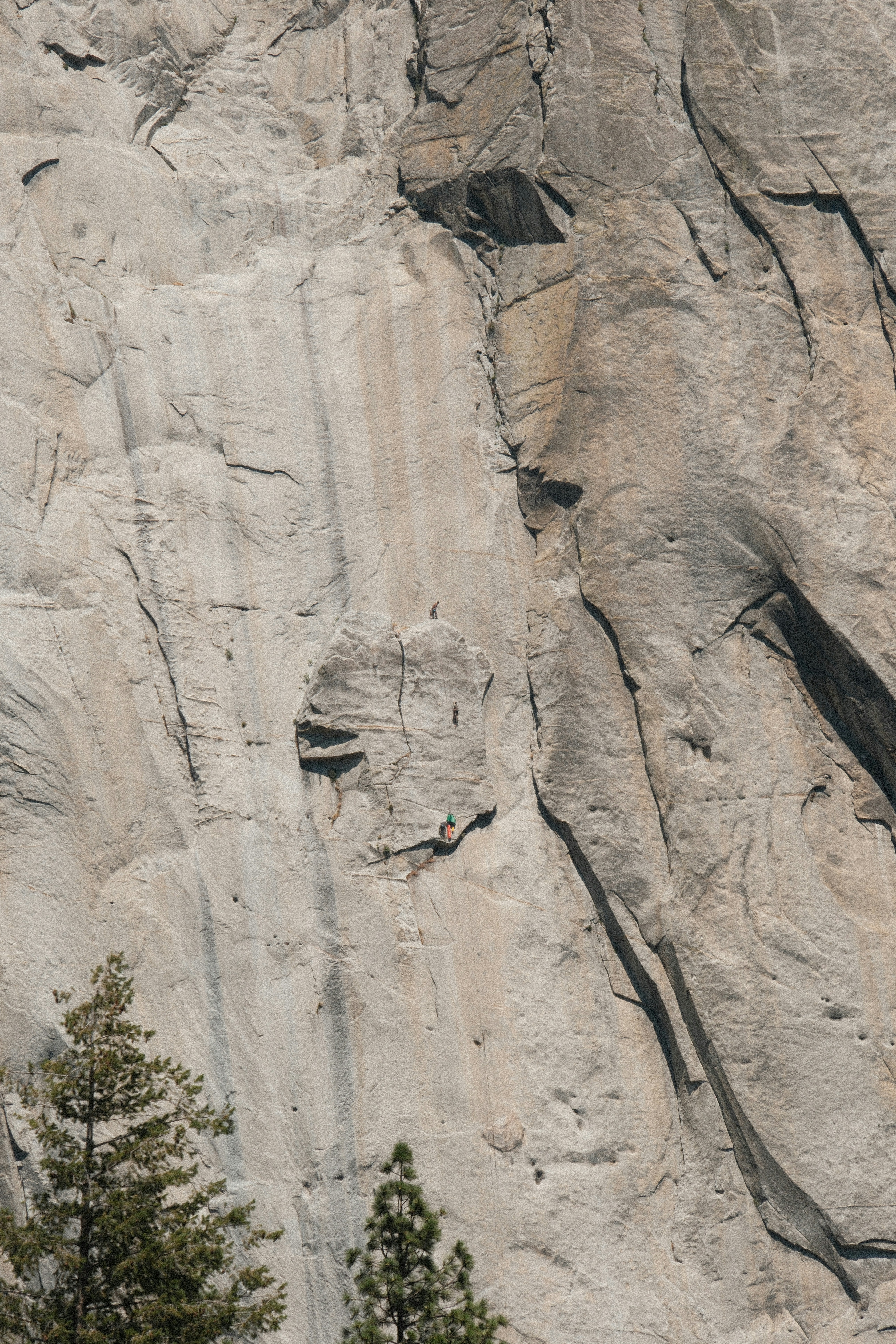 A large rock face with trees in the foreground photo – Free Yosemite ...