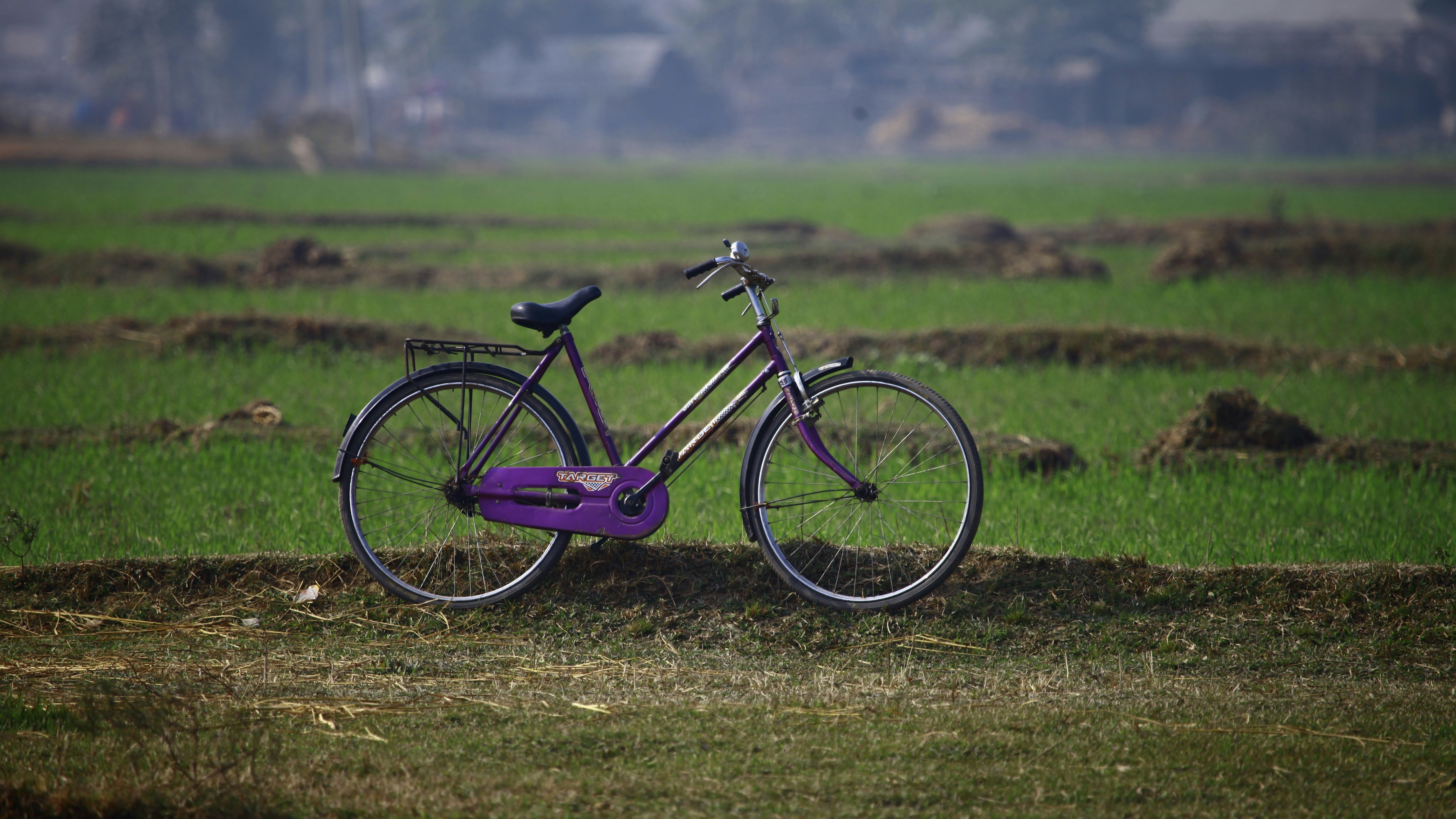 Pasturebound Ride: A Vintage Bicycle Resting Between Field Ridges