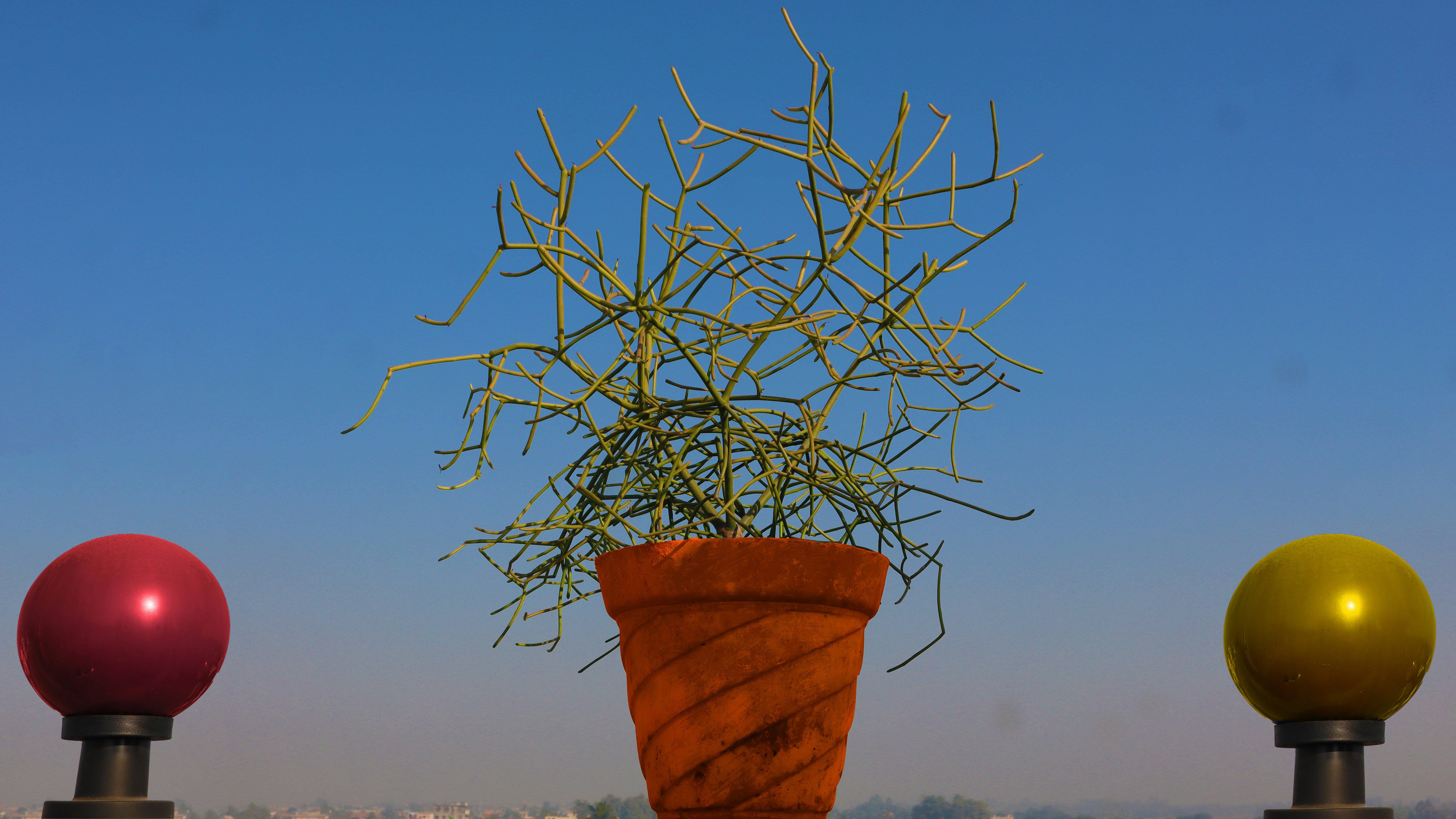 Centerpiece Between Orbs: A Terracotta Pot with Bare Branches Under a Clear Blue Sky