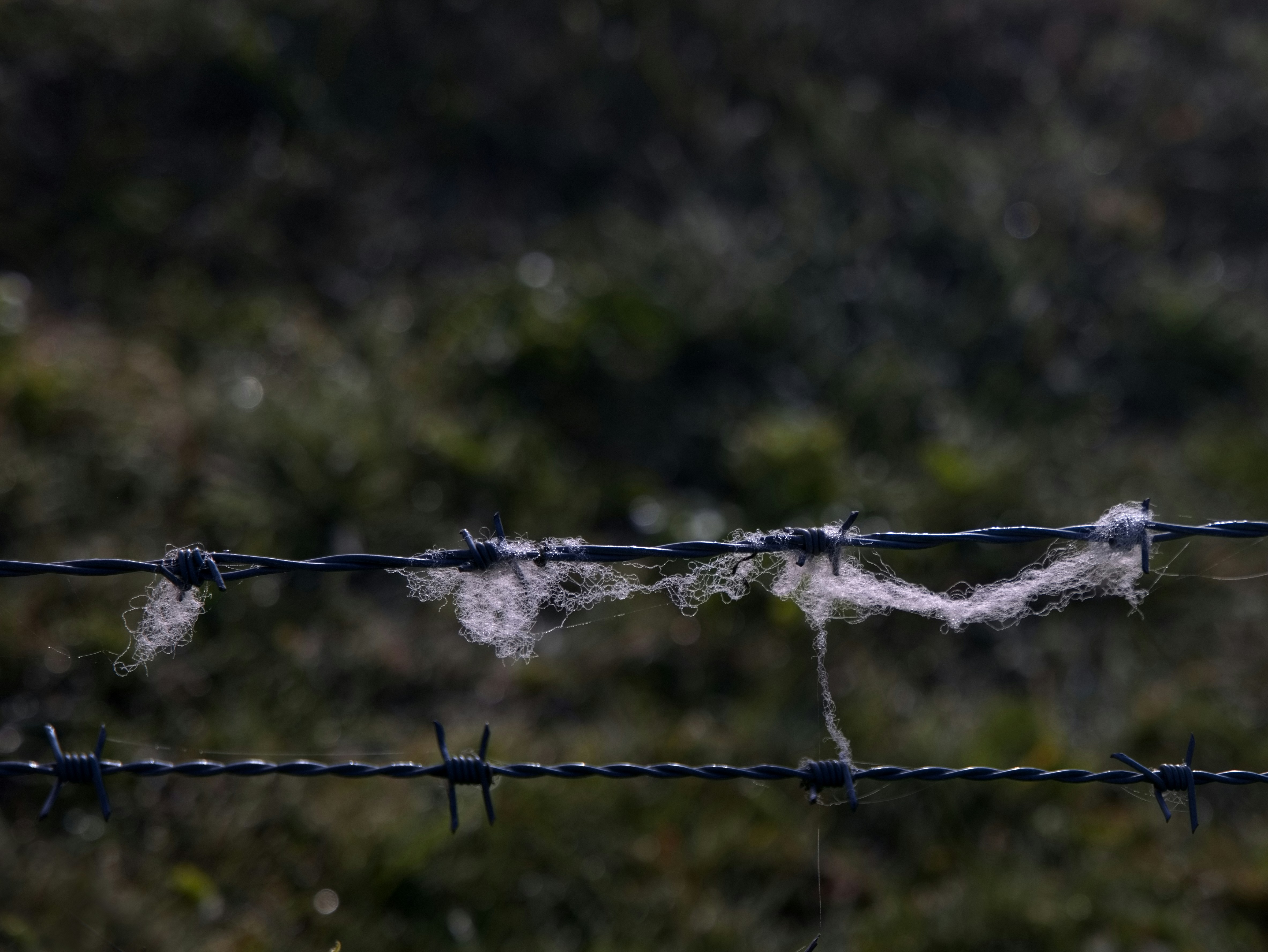 John Crix (@jccrix) | Komunitas Foto Unsplash