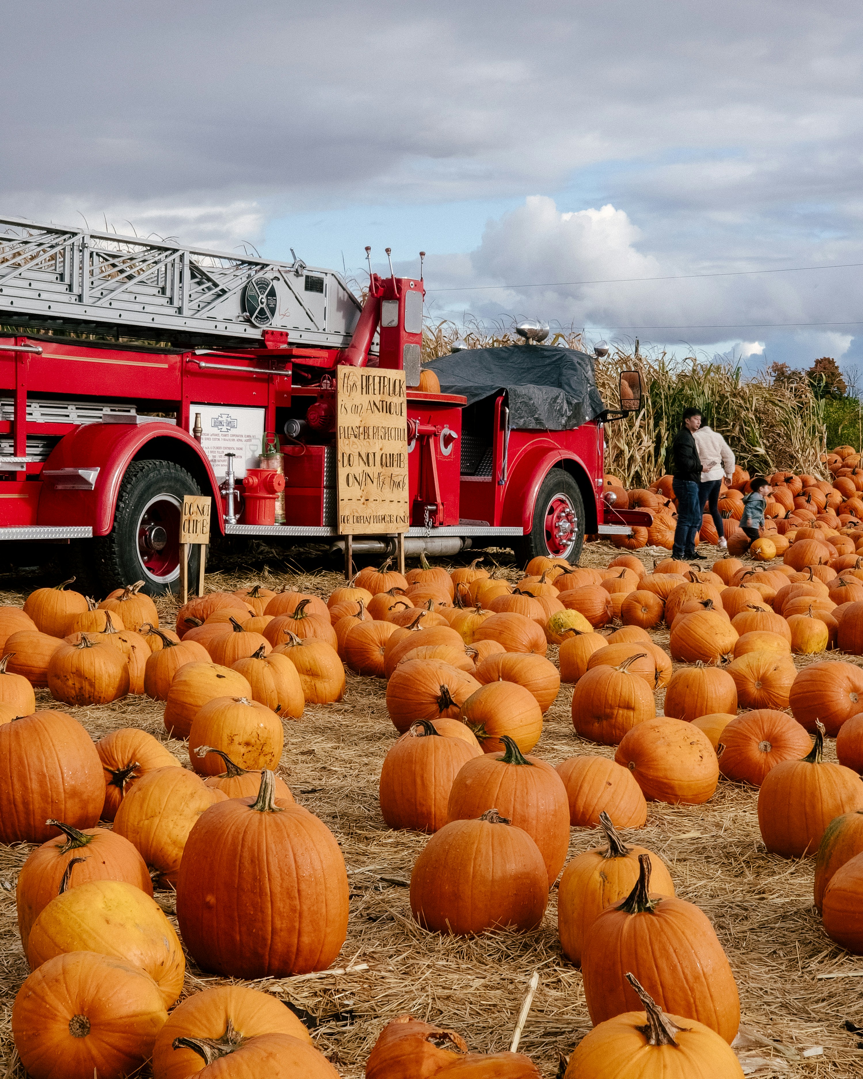 Crimson Engine in a Pumpkin Patch Parade