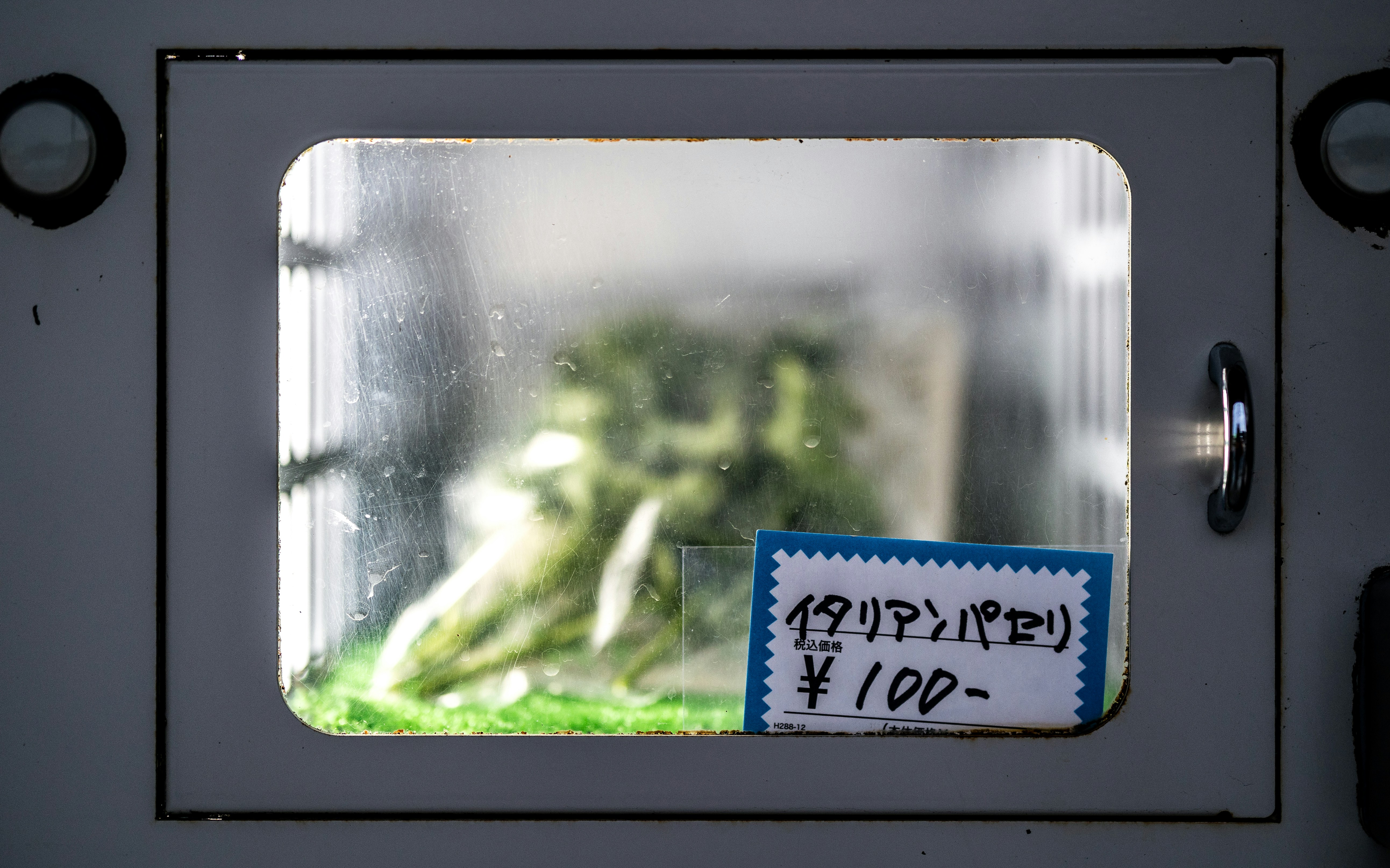 Glass-front Cabinet View: Small Window into Greenery
