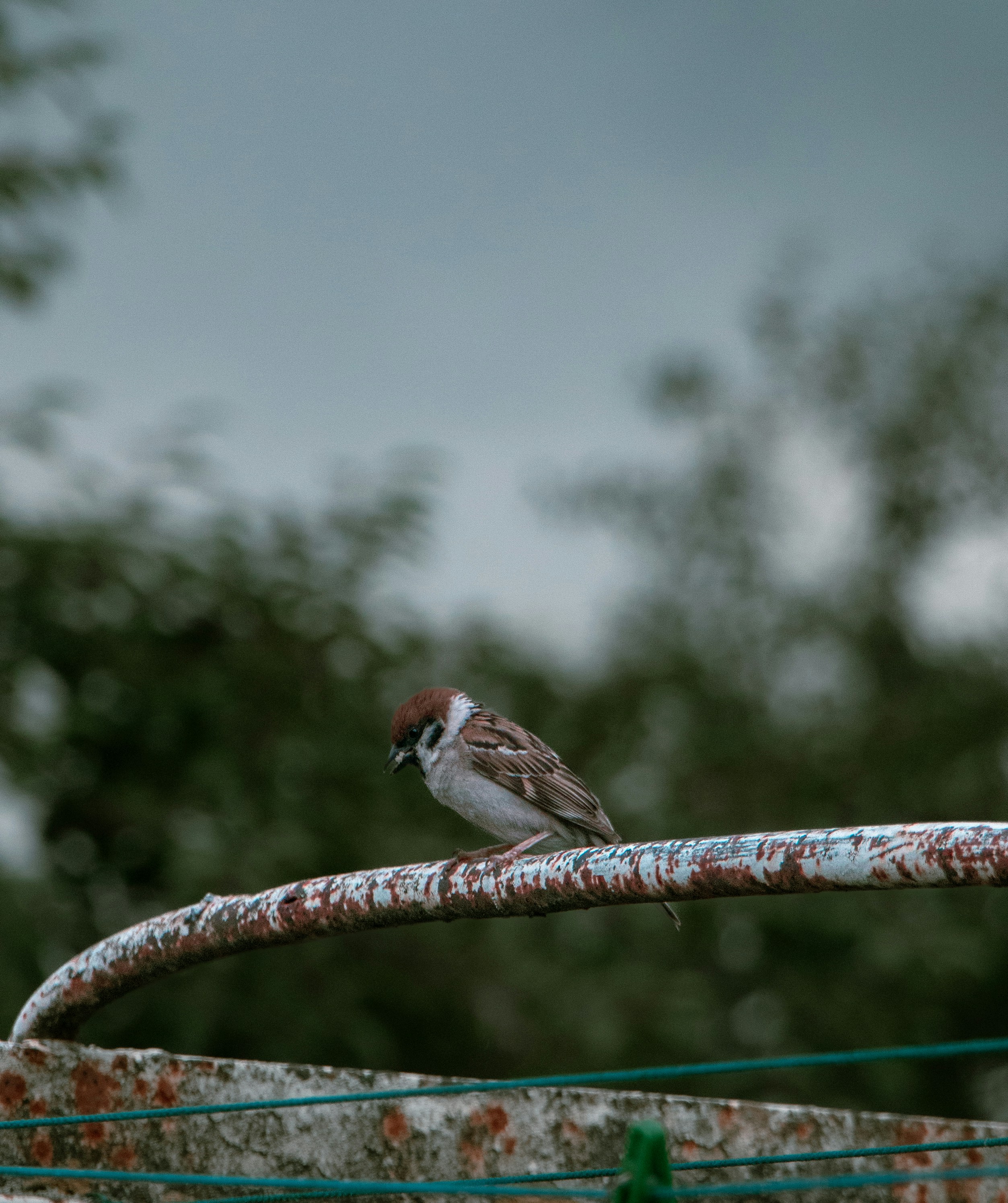 Photo by Alexander Kovalev with Canon EOS 250D