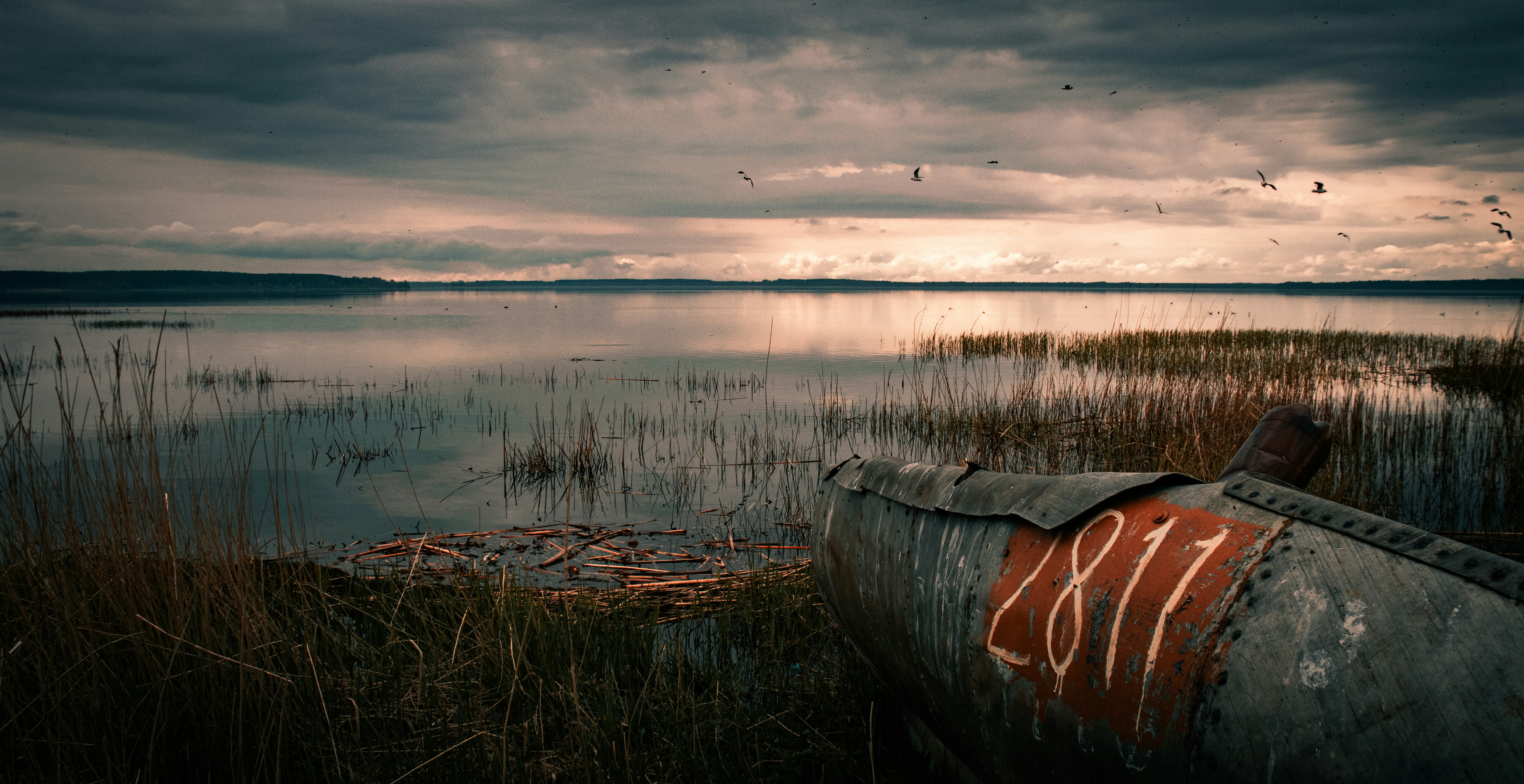 Photo by Alexander Kovalev with Canon EOS 250D