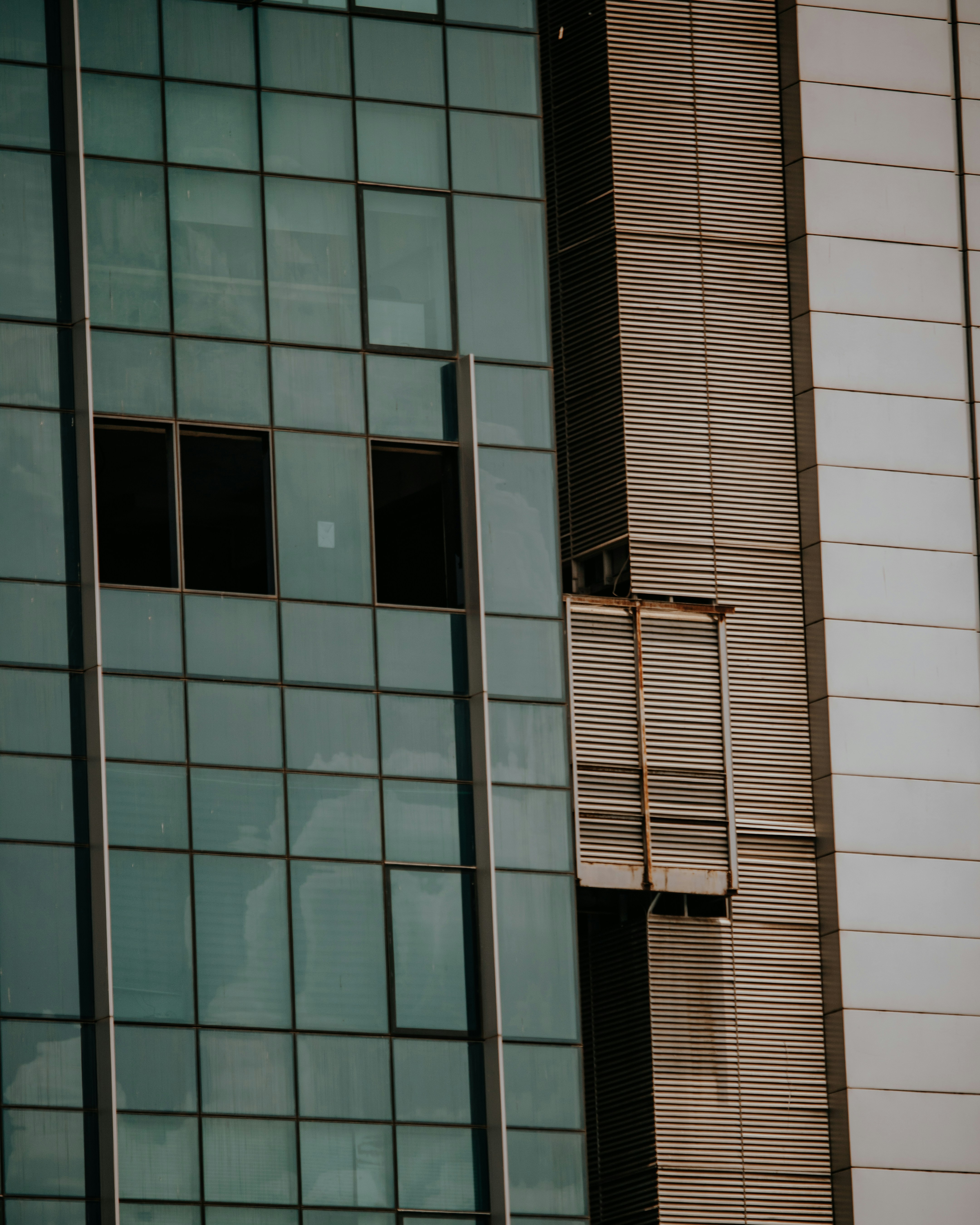 Grid and Grain: A Glass Curtain Facade Framed by Vertical Timber Louvers