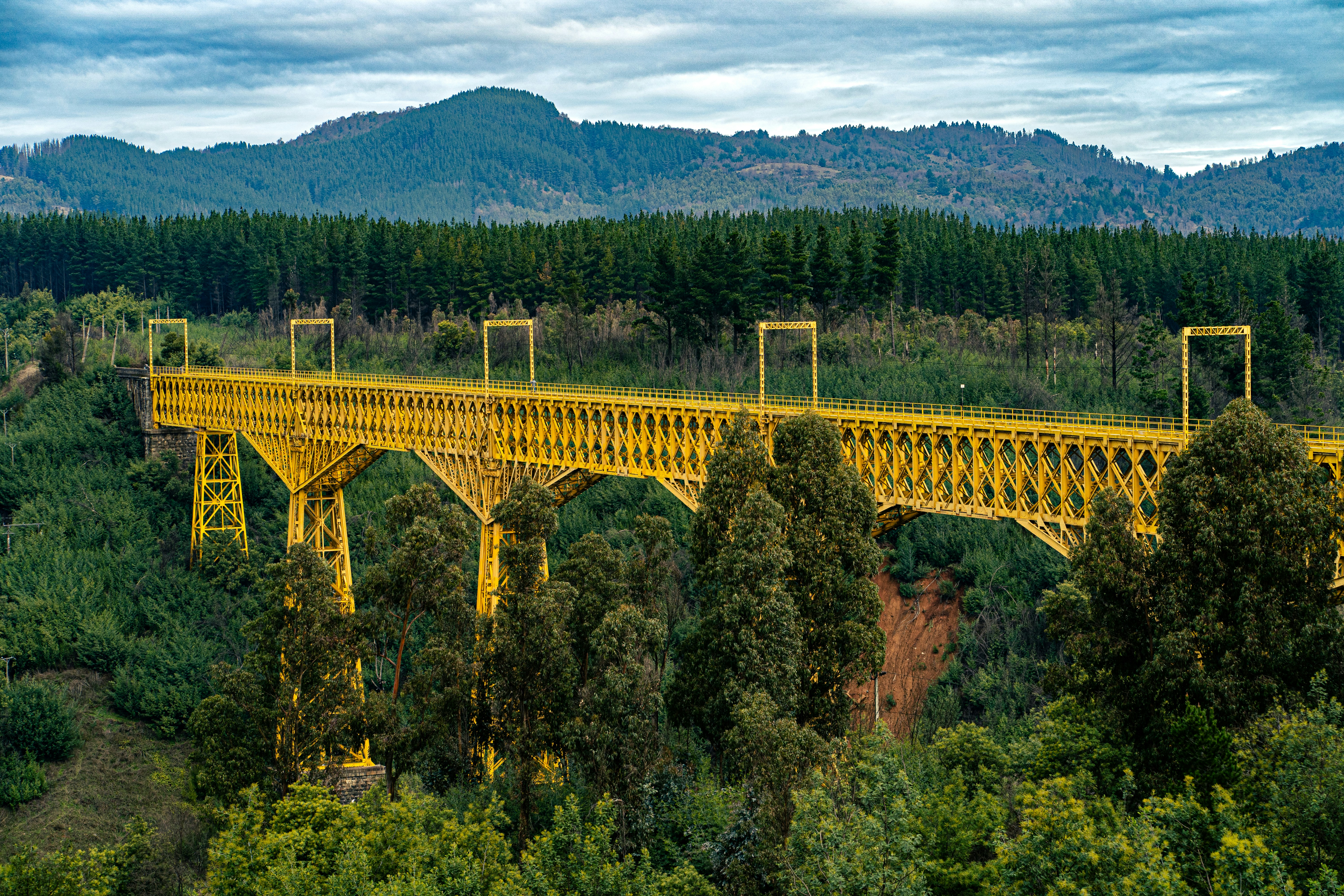 Golden Span Across the Pines: A Lattice Bridge in a Verdant Valley