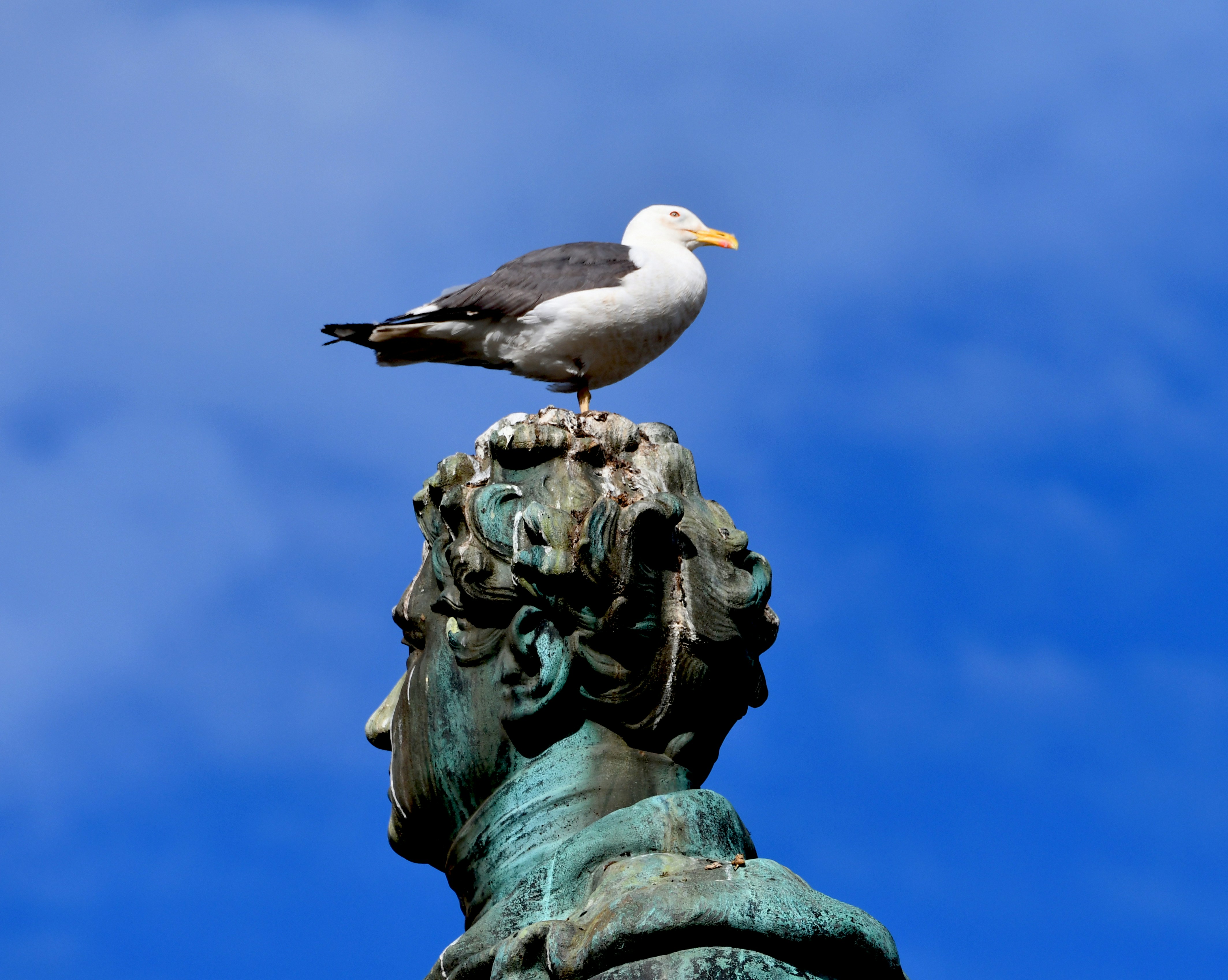 Seagull Sentinel on a Verdigris Statue beneath a Cobalt Sky