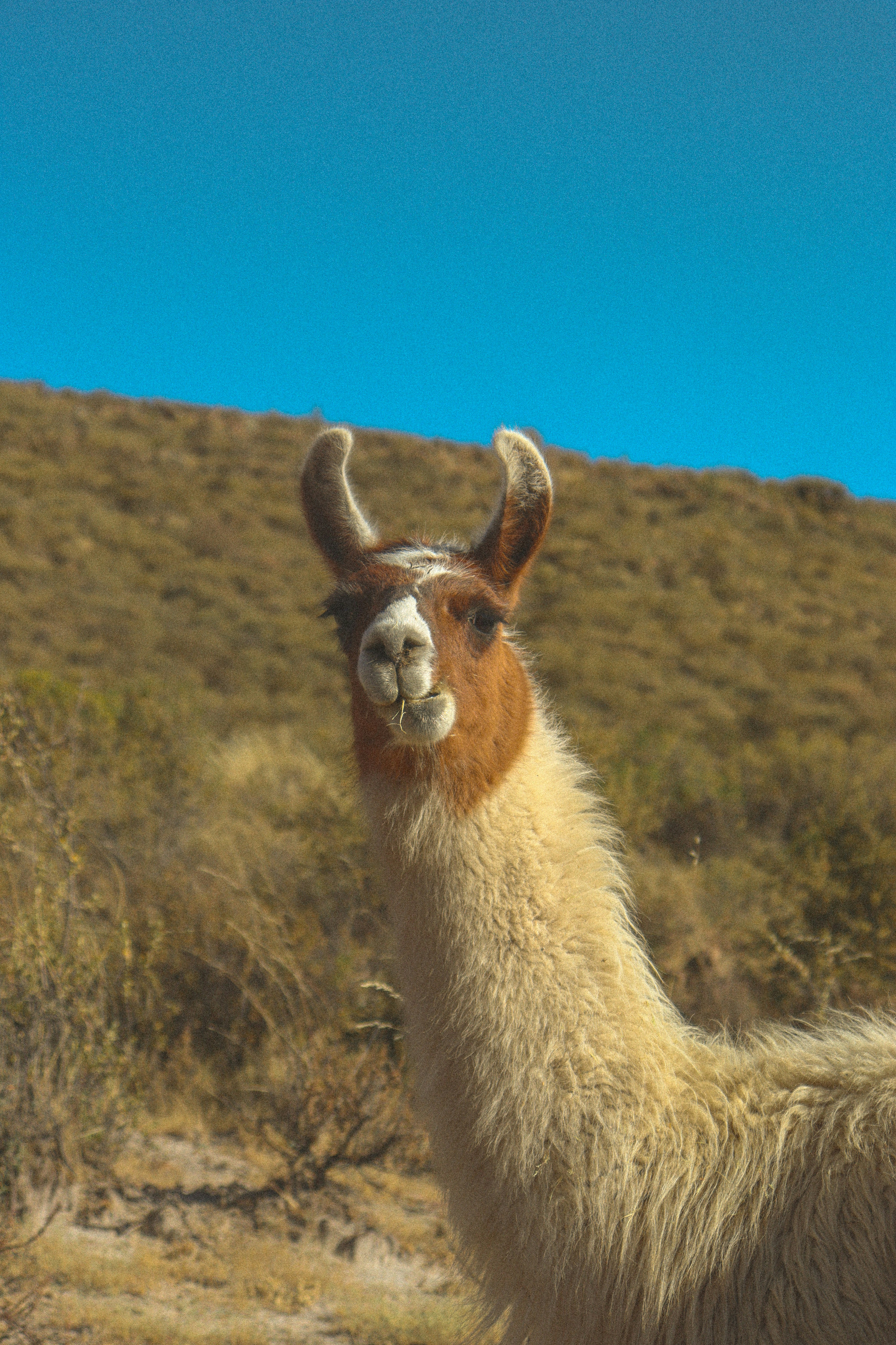 Photo by Gabriel Istvan with Canon EOS 250D