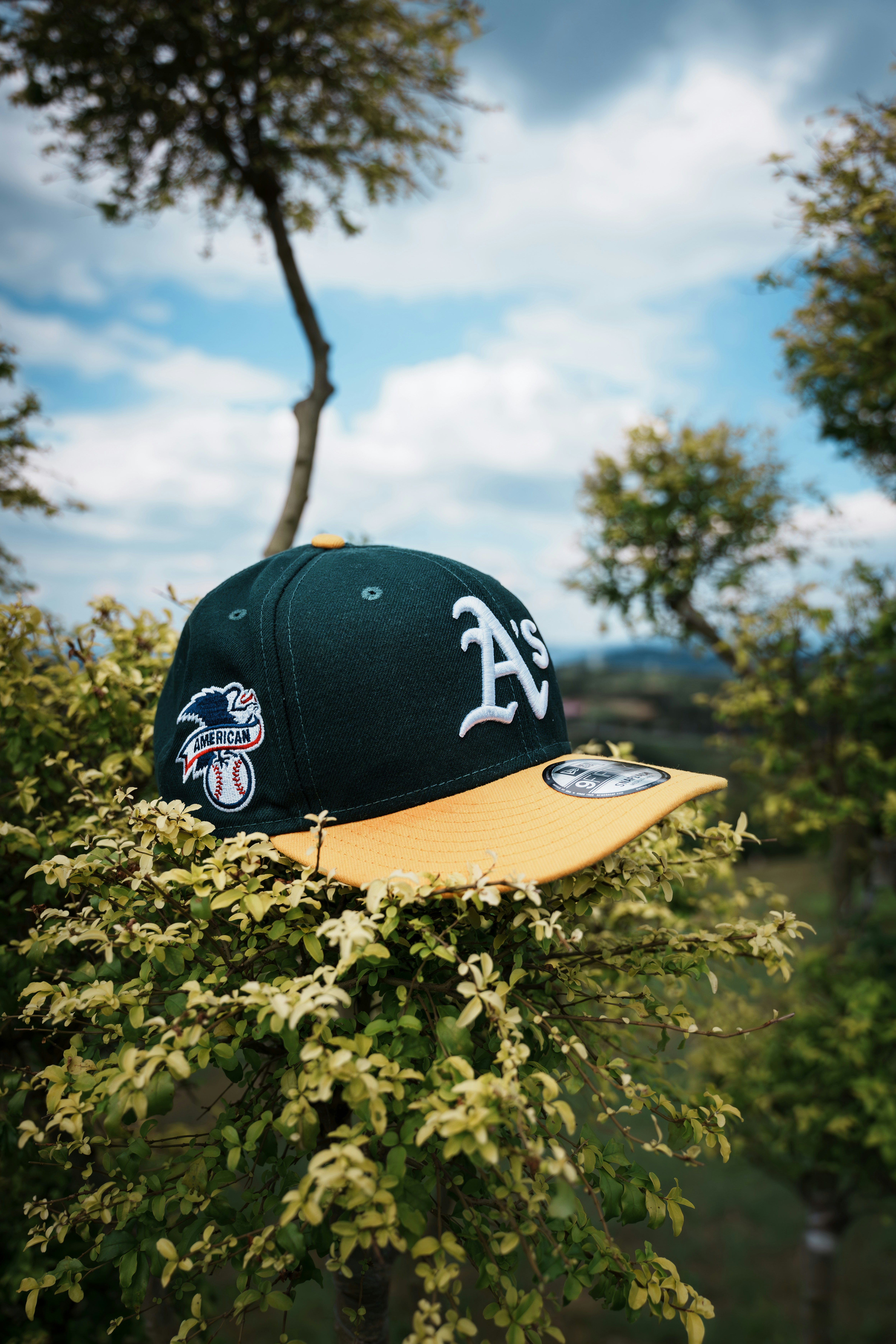 Car Cartoon Pictures | Download Free Images on Unsplash