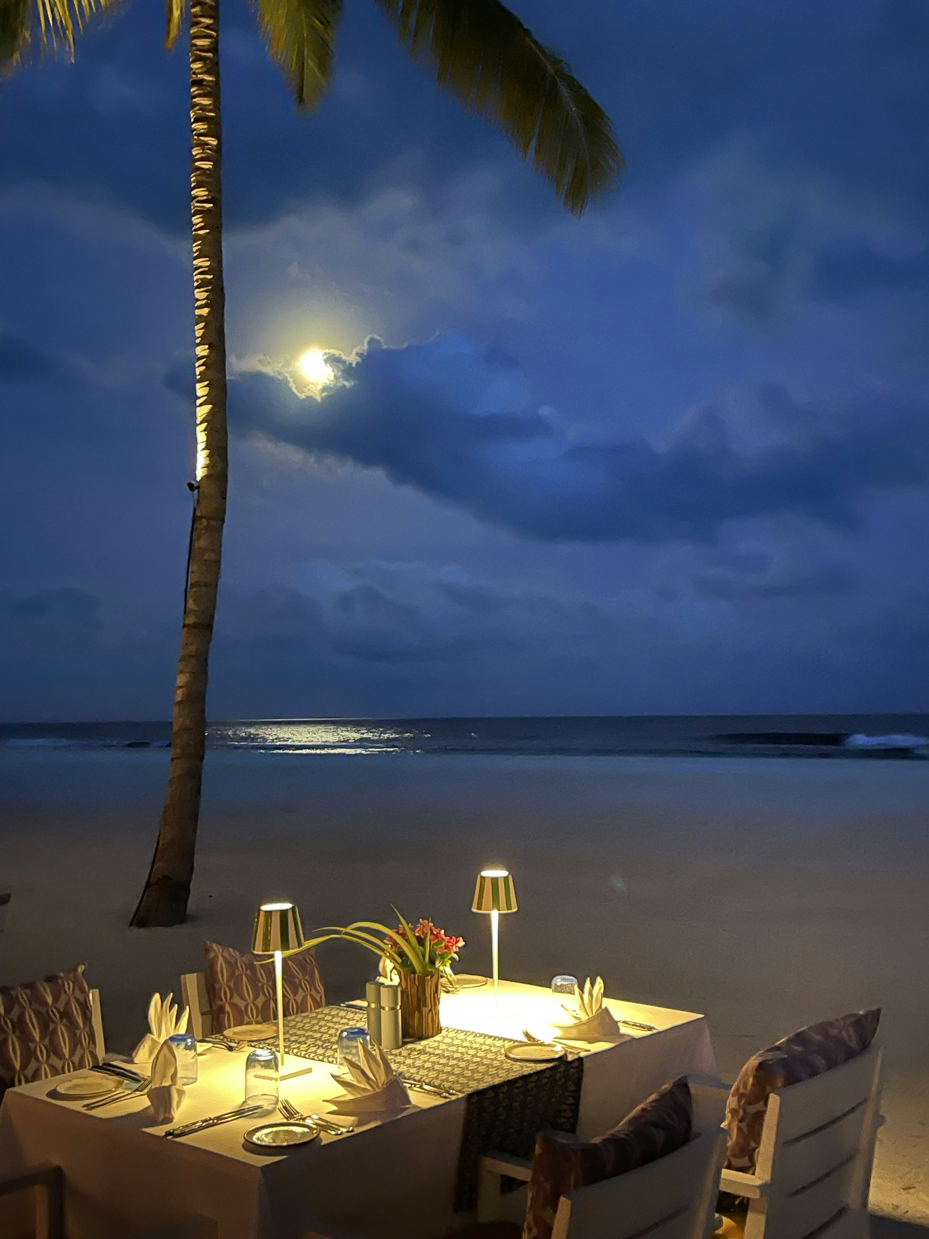 Moonlit Beachside Table Under a Tall Palm
