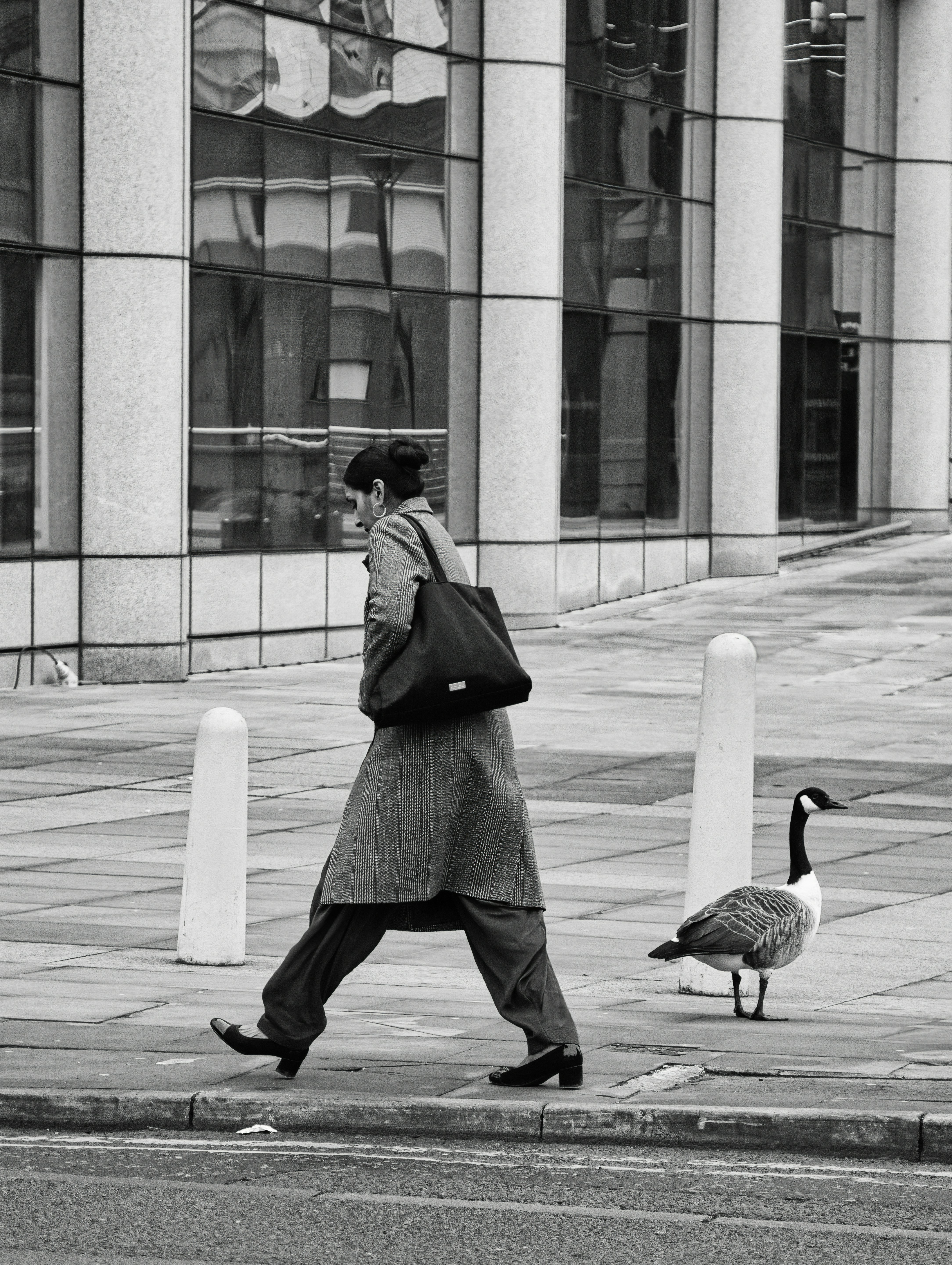 Mono Street Walk: A Woman in a Coat Shares the Sidewalk with a Goose