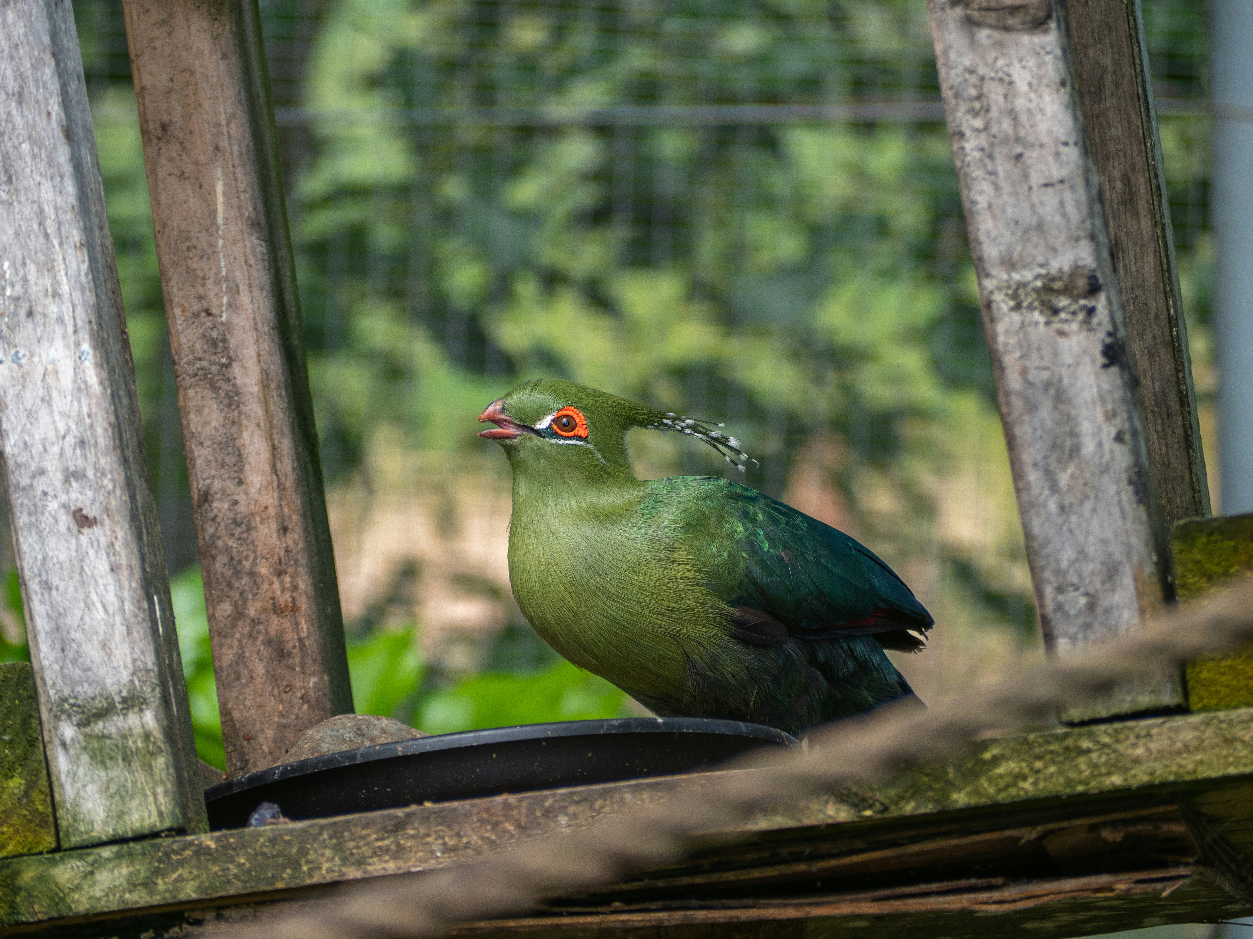 Photo by Aleksi Partanen with Olympus OM-D E-M1 Mark II