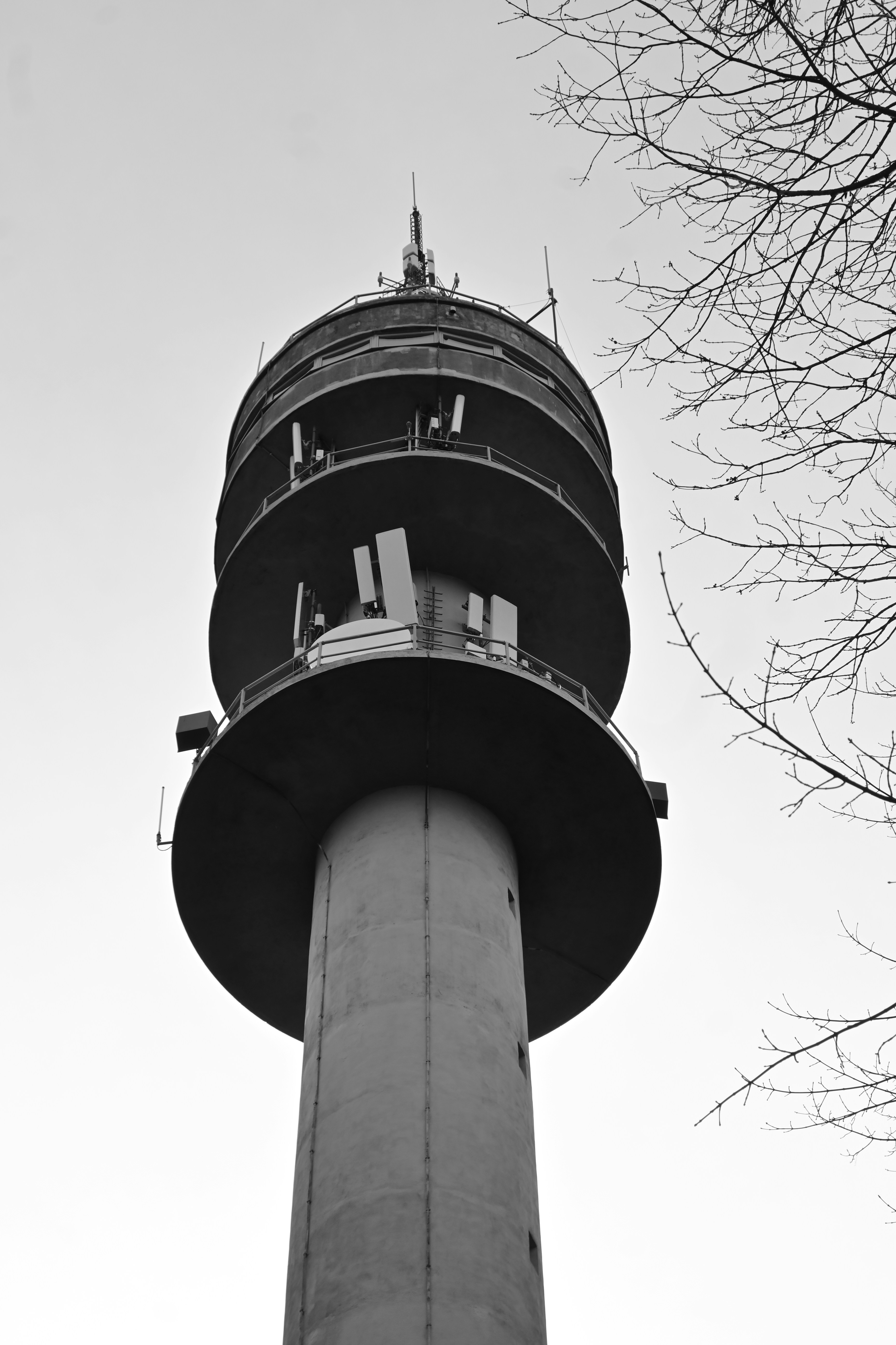 500+ Tower Pictures [HD] | Download Free Images on Unsplash