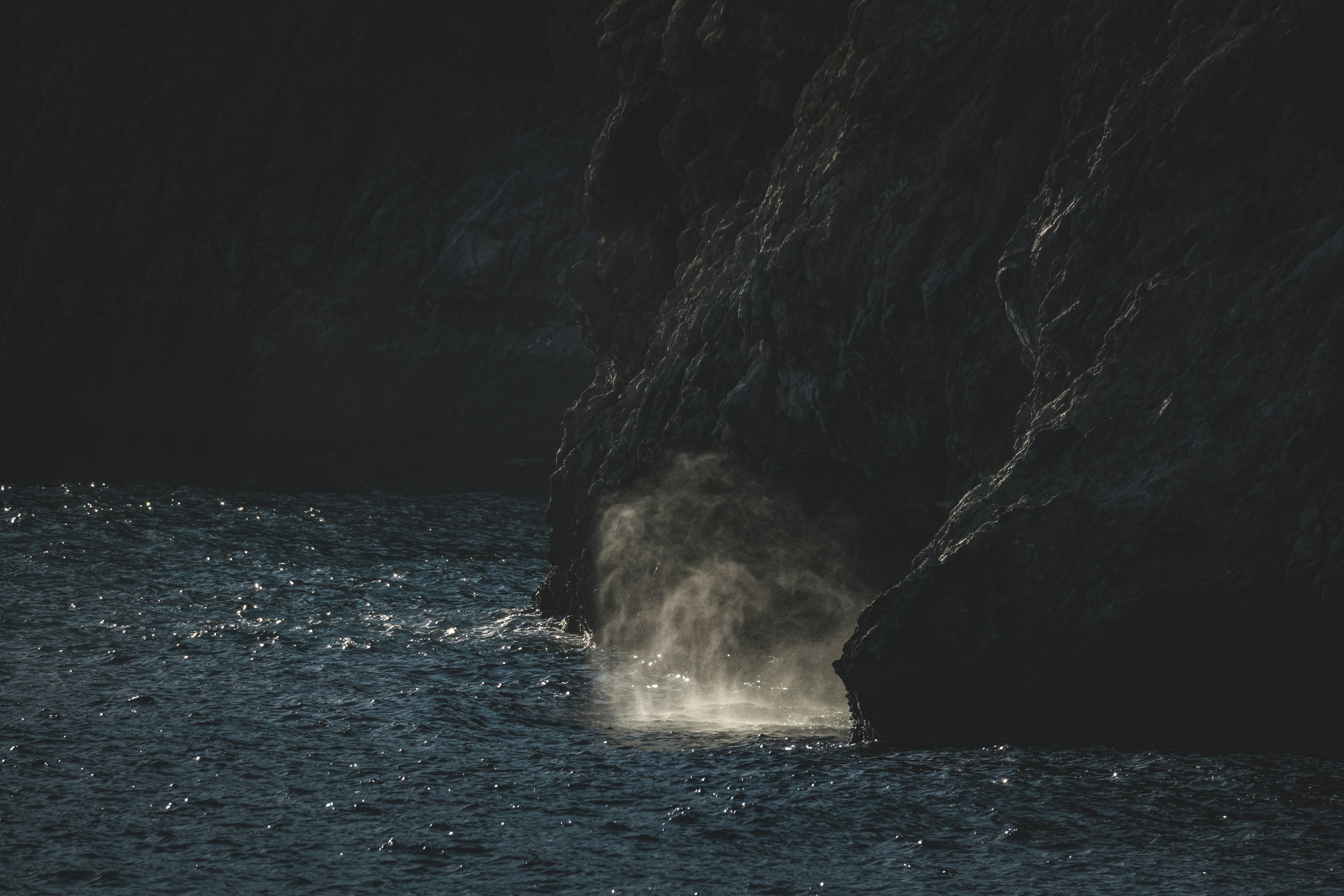 Photo by Francesco Ungaro with Fujifilm X-T4