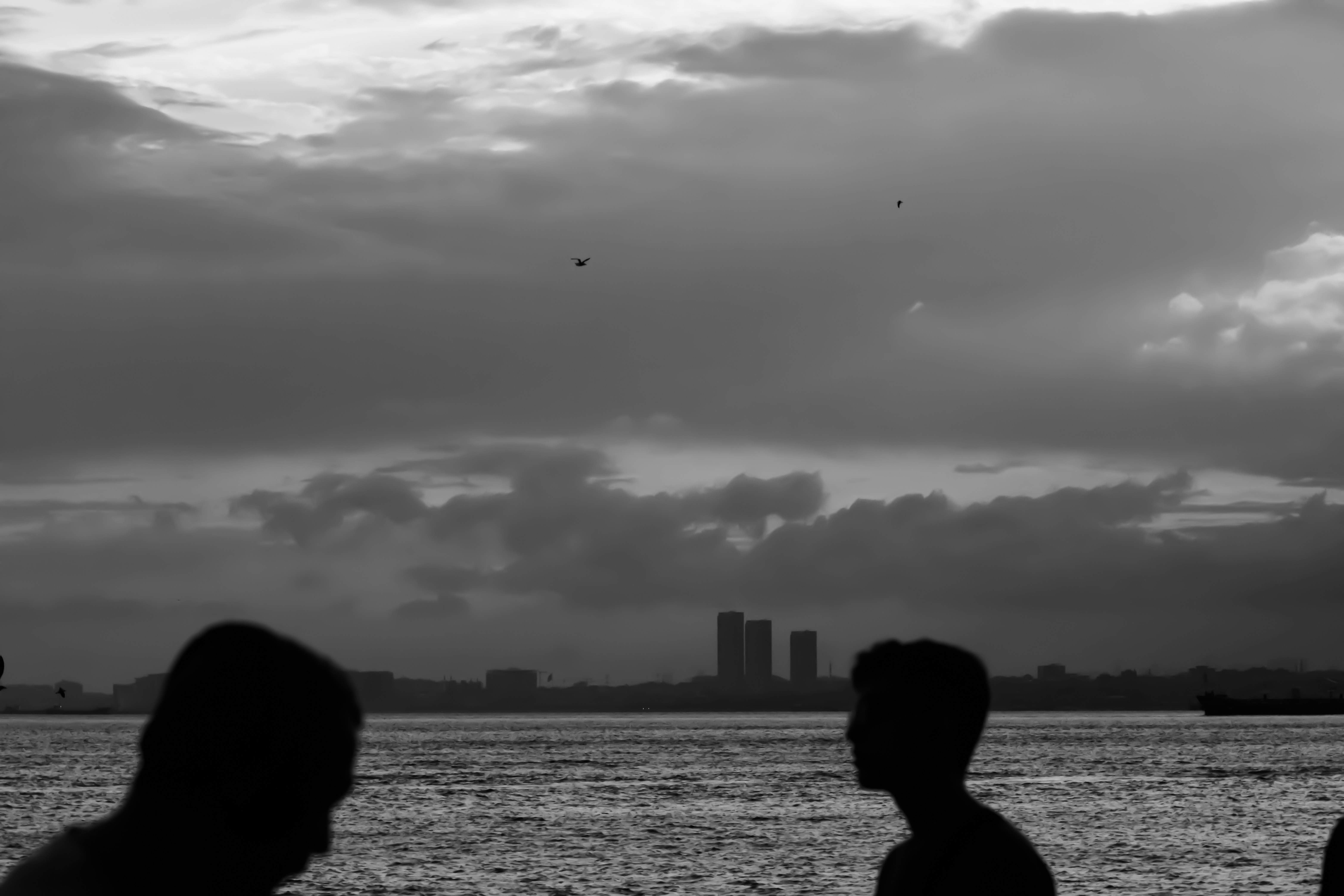 Silhouettes Over a Distant Dusk Horizon