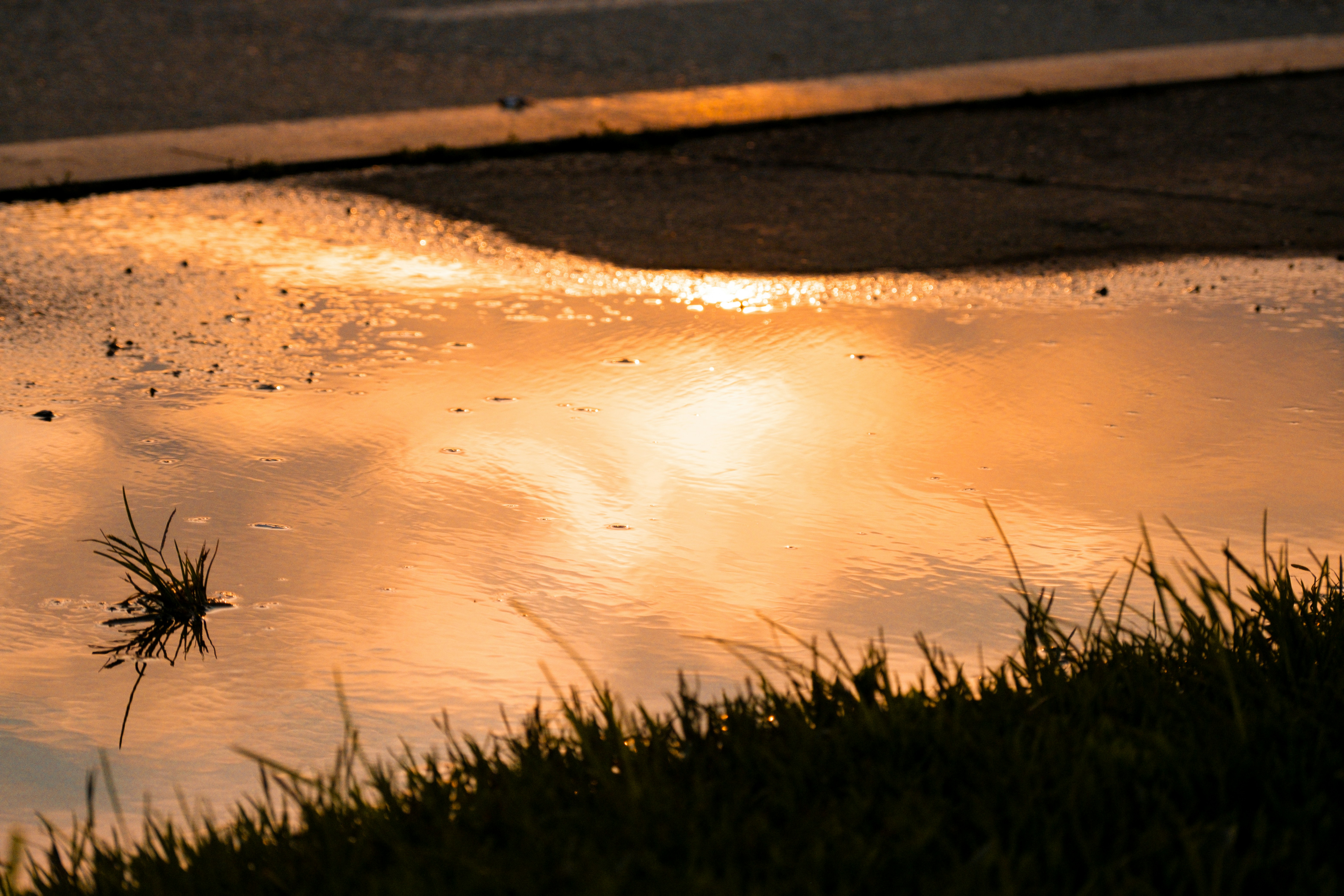 Golden Ripples: Sunset Echoes on Quiet Water