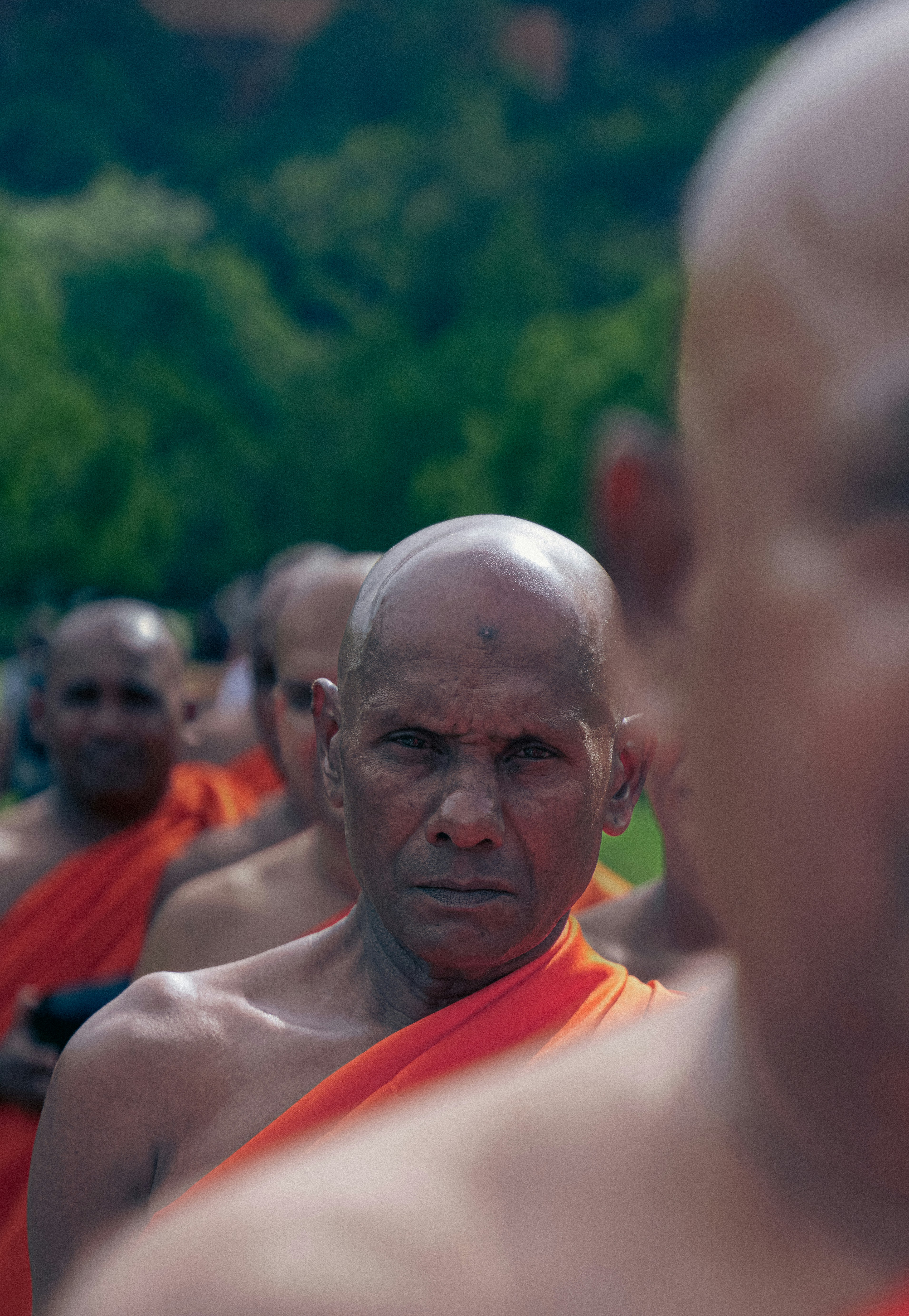 Centered Gaze in the Monastic Row