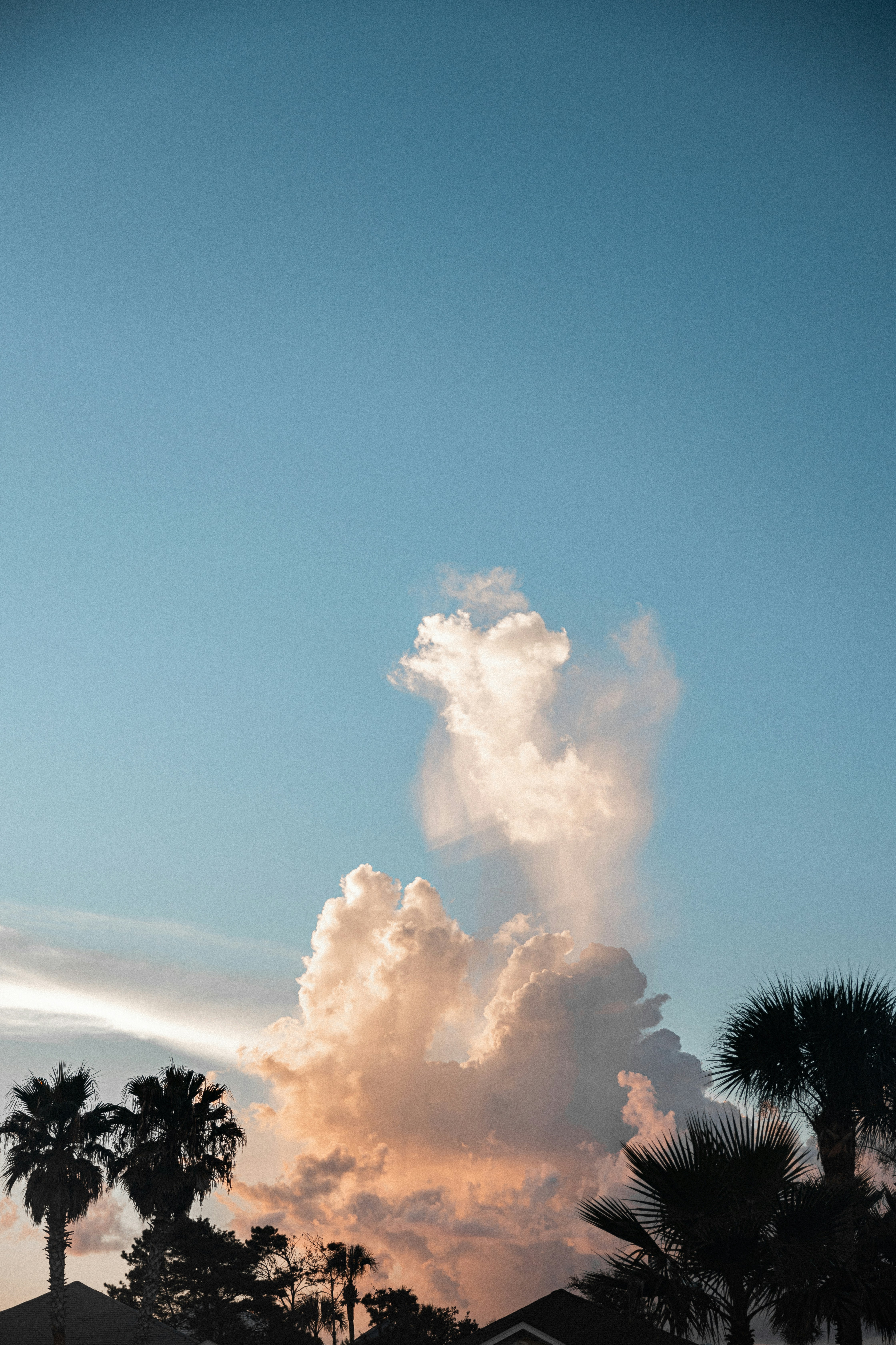 Cloud Column Over a Palm-Fringed Horizon at Dusk
