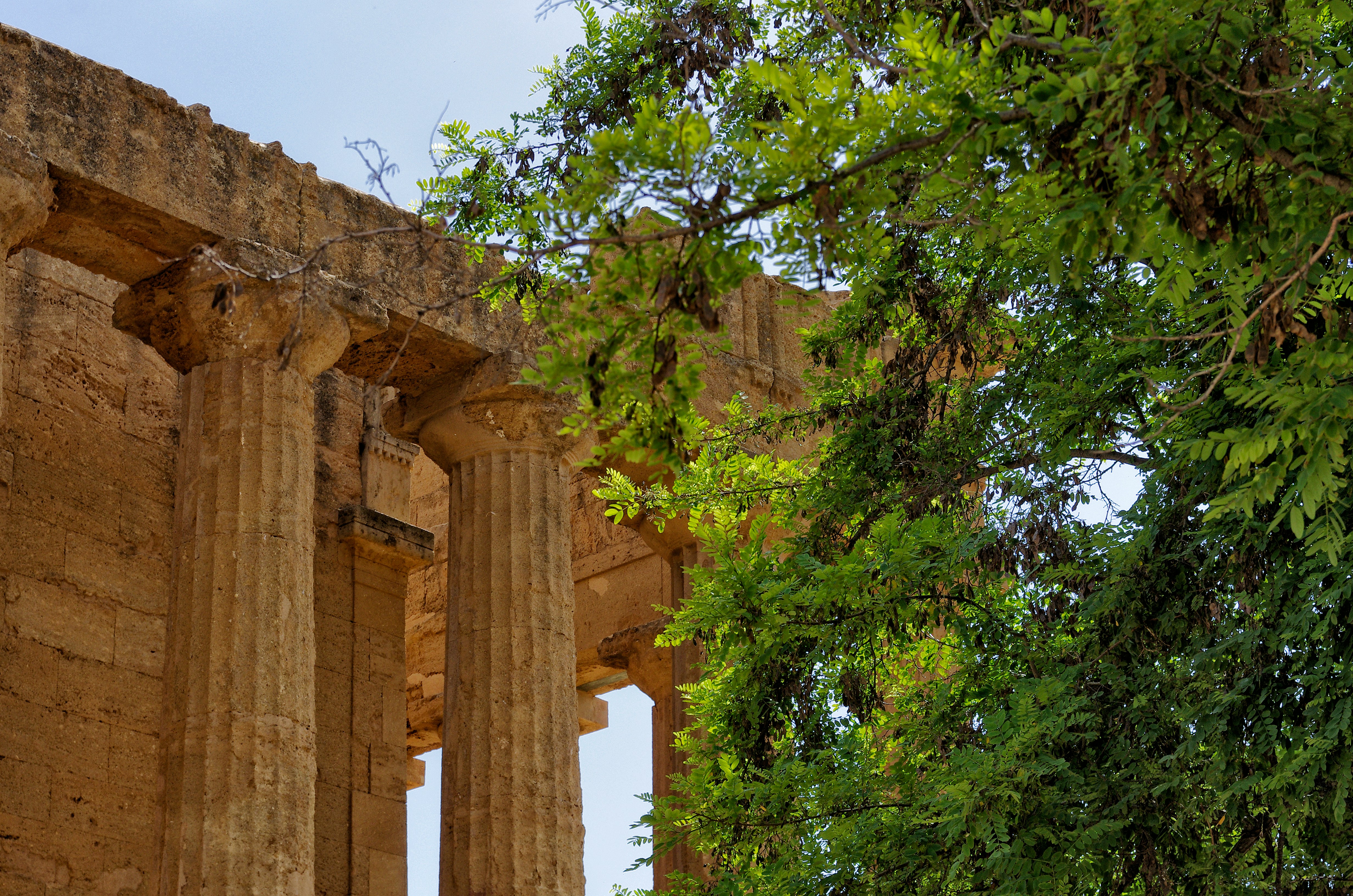 Ancient Ruins Through Verdant Canopy