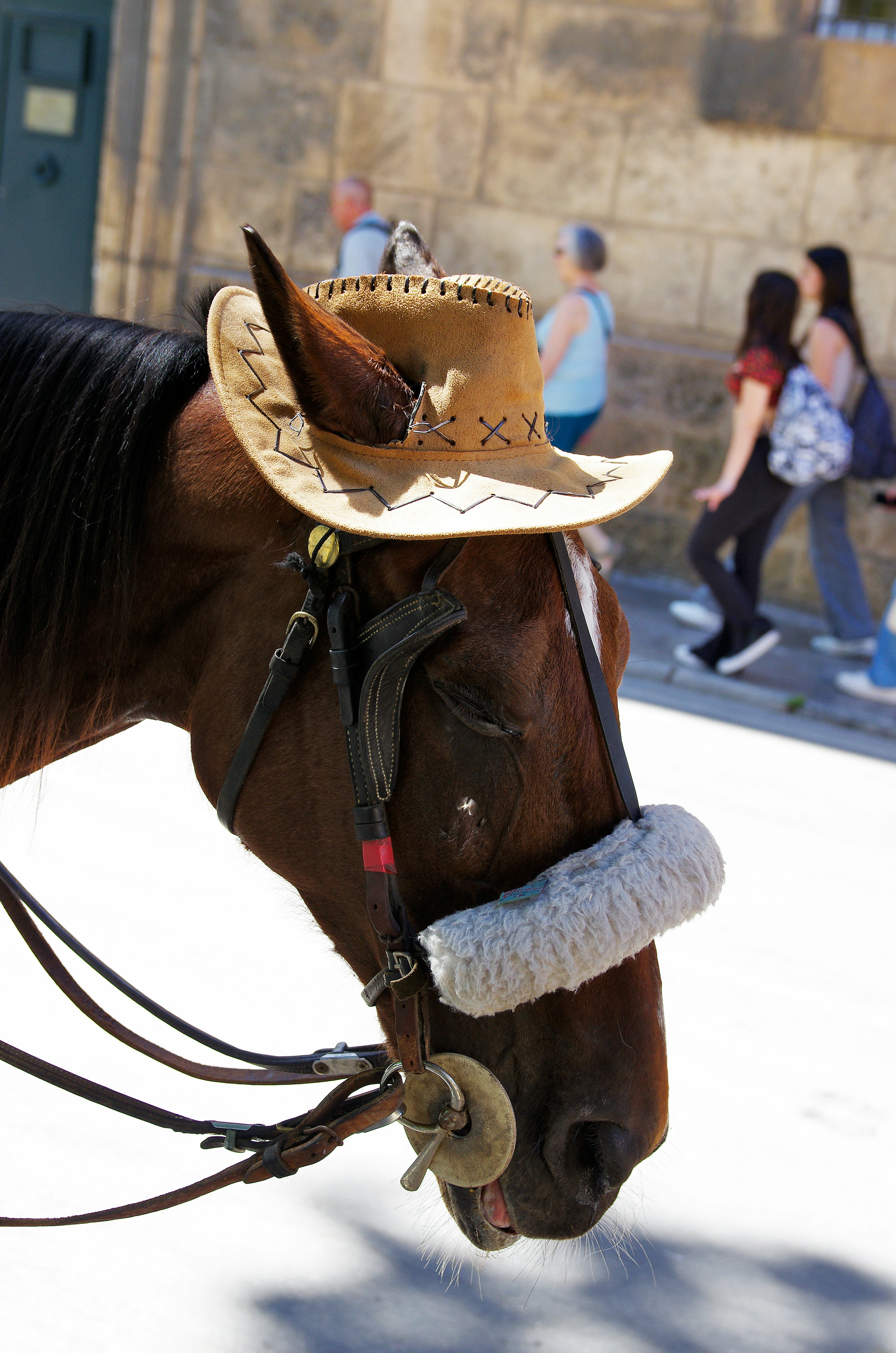 Bronzed Cowboy Hat Gently Graces a Patient Steed in a Coastal Street Scene