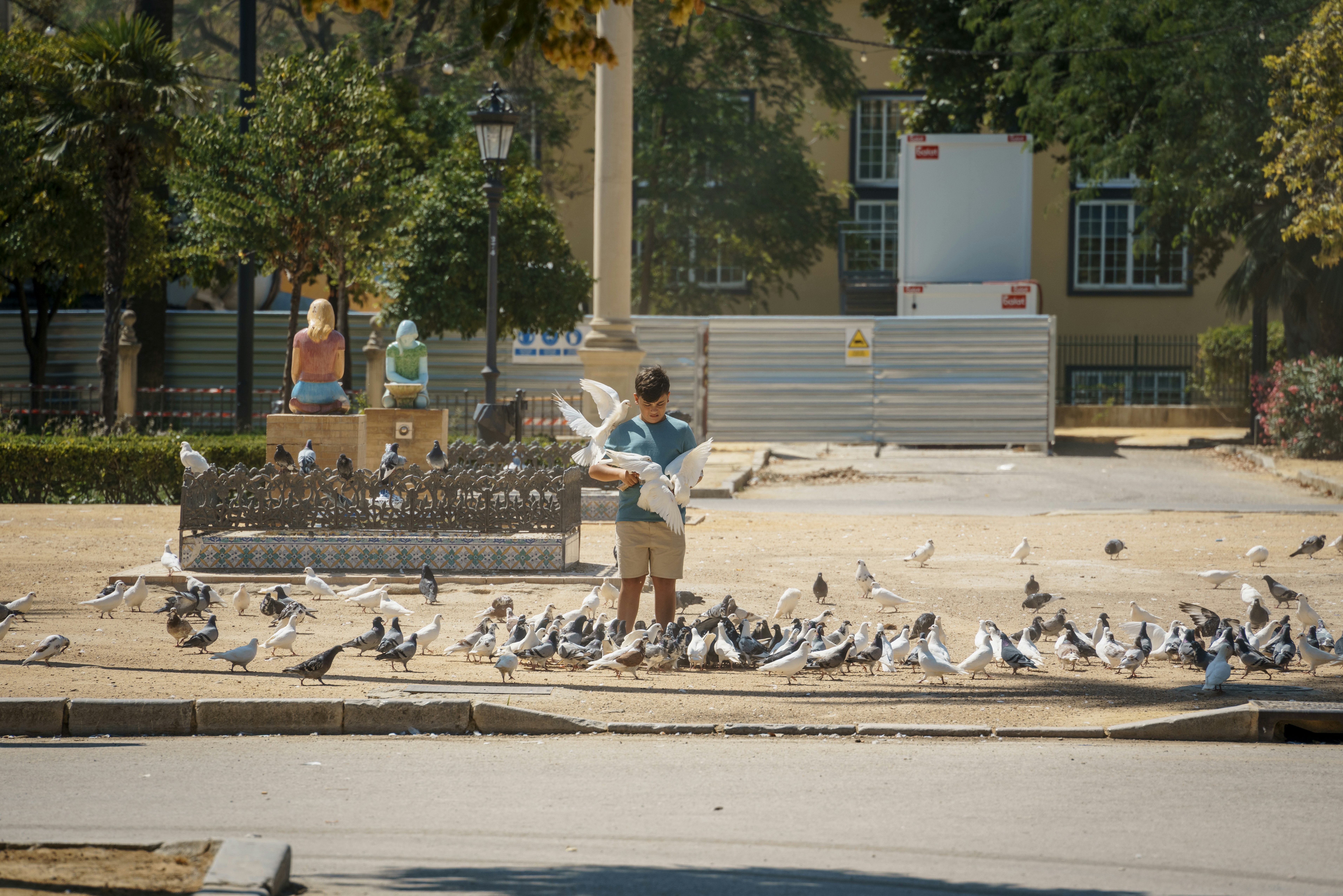 Photo by Hoyoun Lee with Sony Alpha 7R III