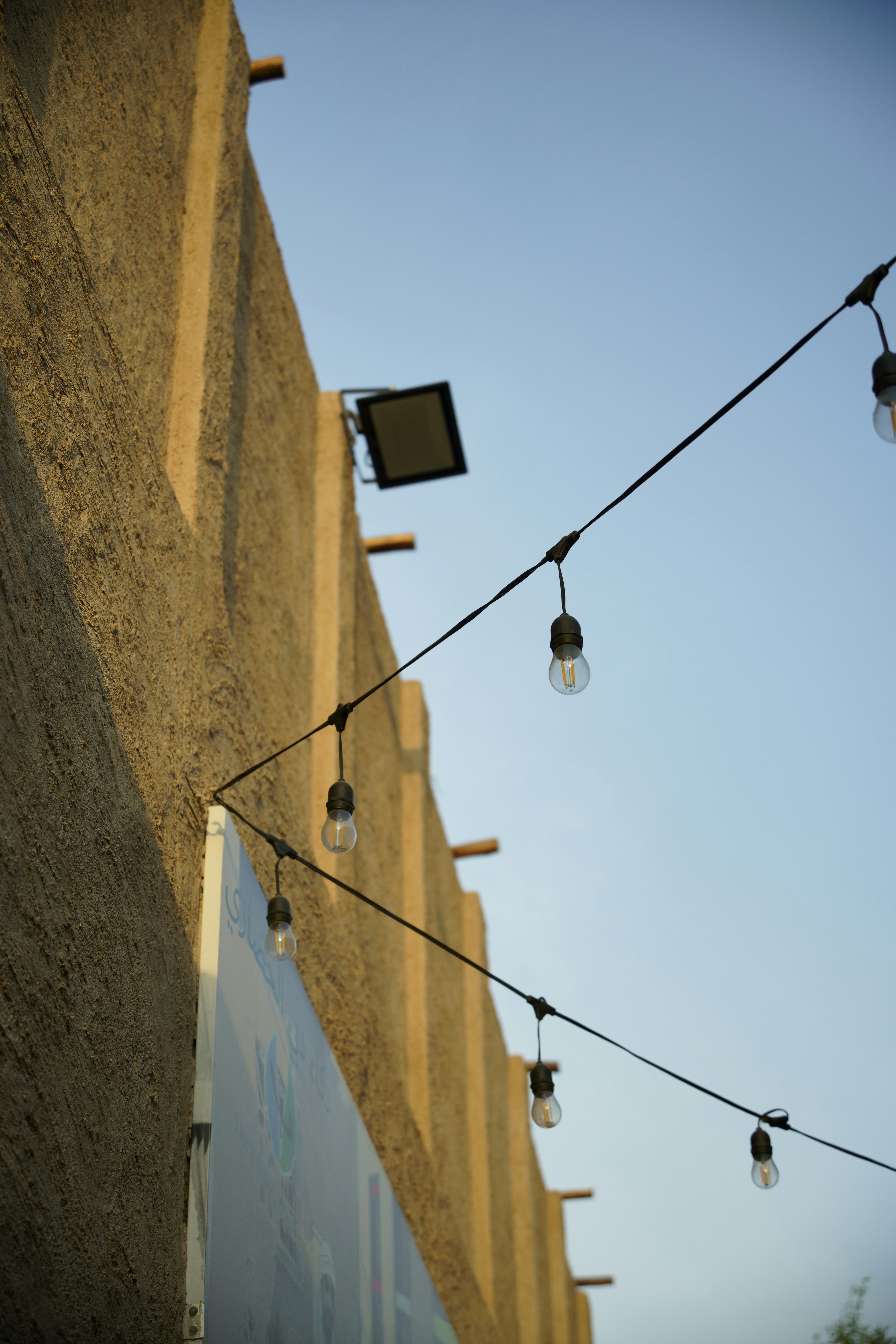 Photo by Hoyoun Lee with Sony Alpha 7R III