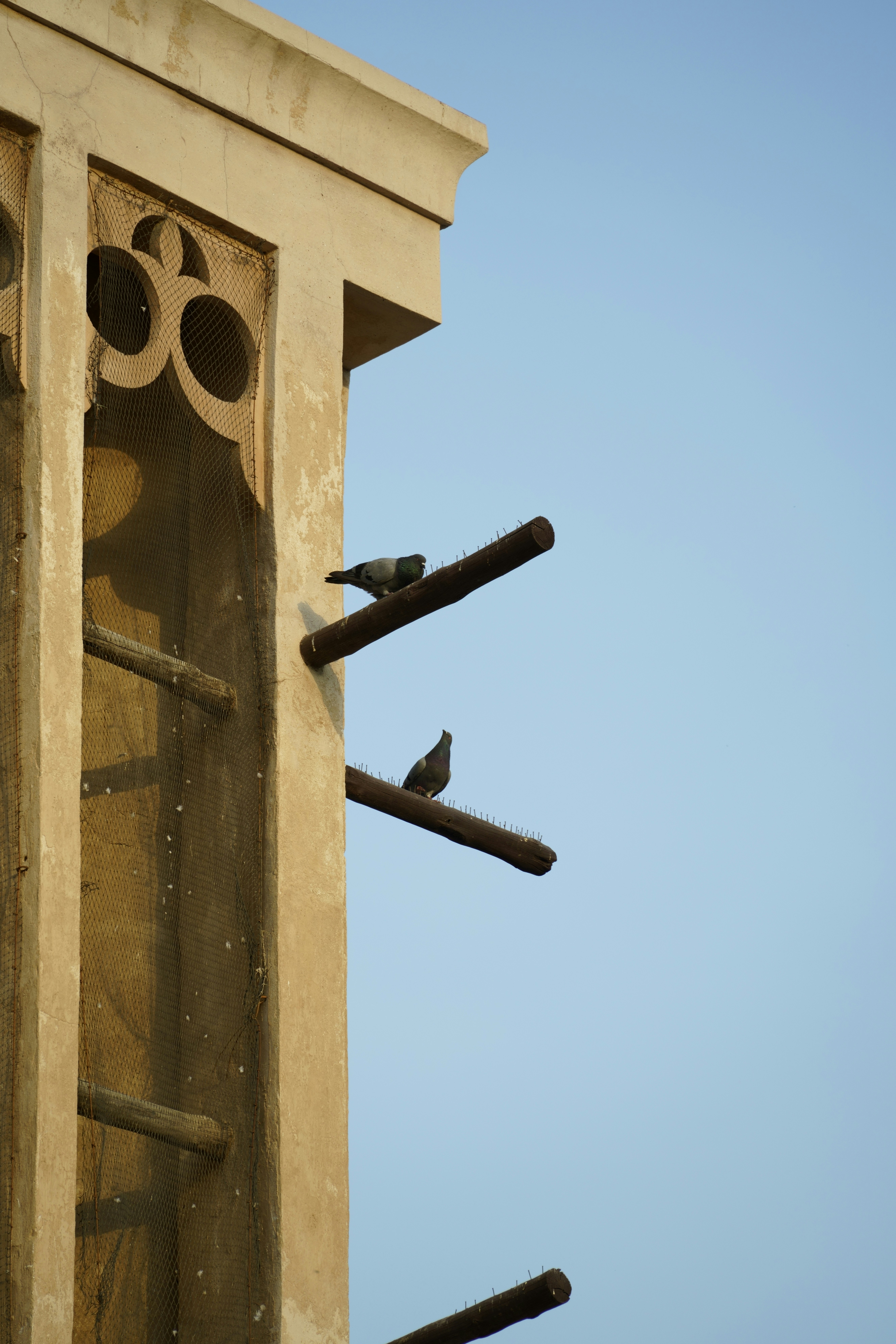 Photo by Hoyoun Lee with Sony Alpha 7R III