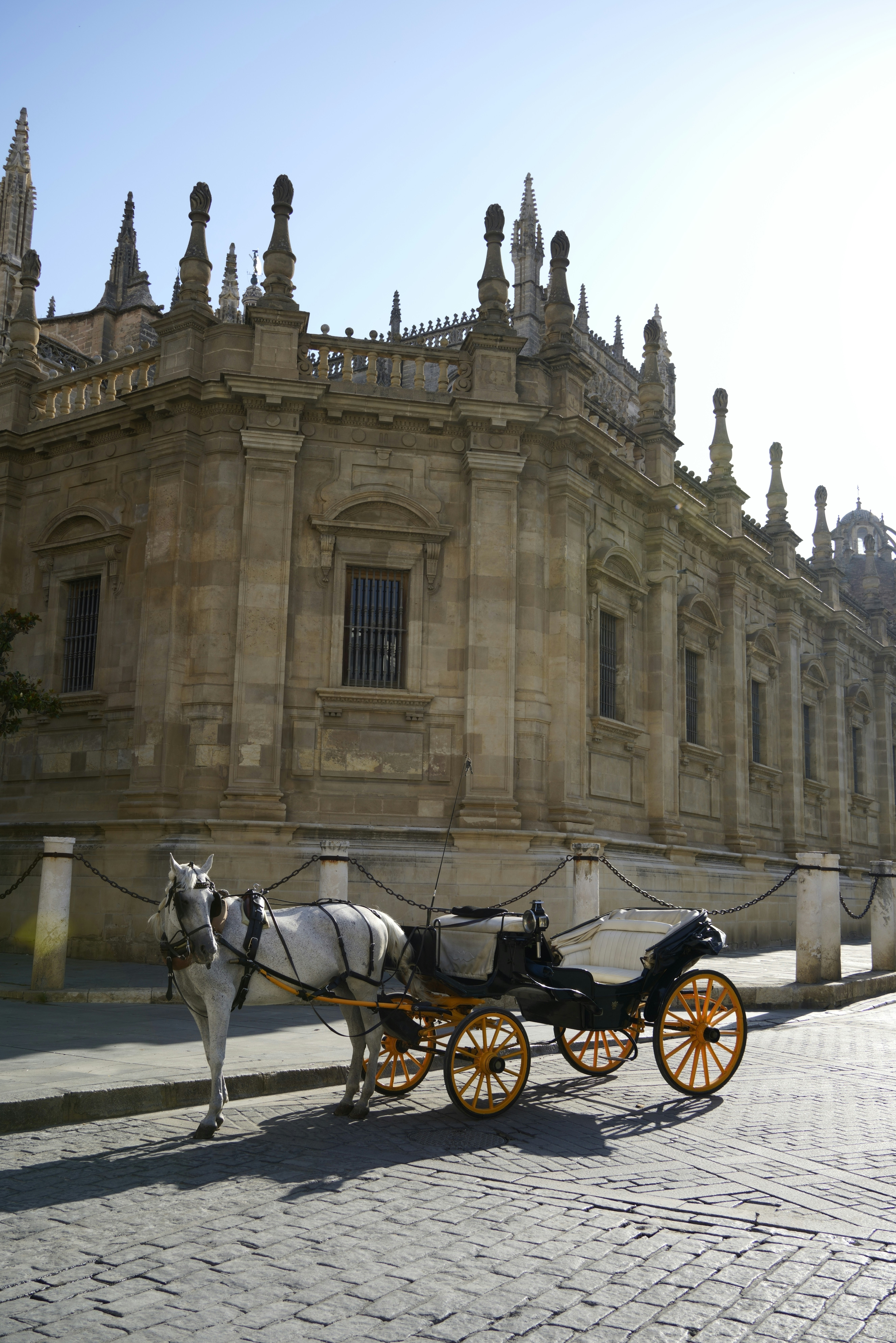 Sunlit Carriage at the Threshold of a Historic Cathedral