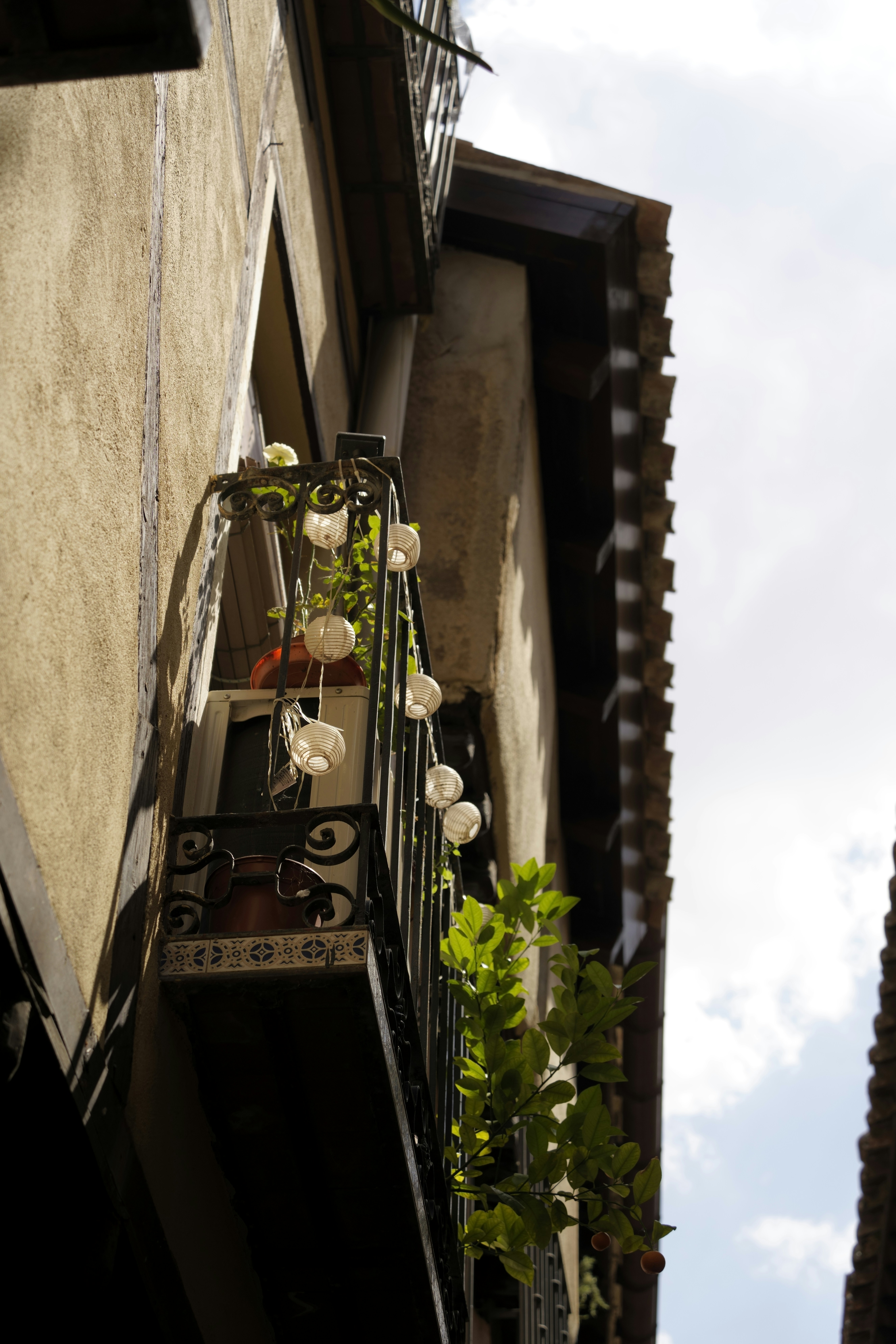 Photo by Hoyoun Lee with Sony Alpha 7R III