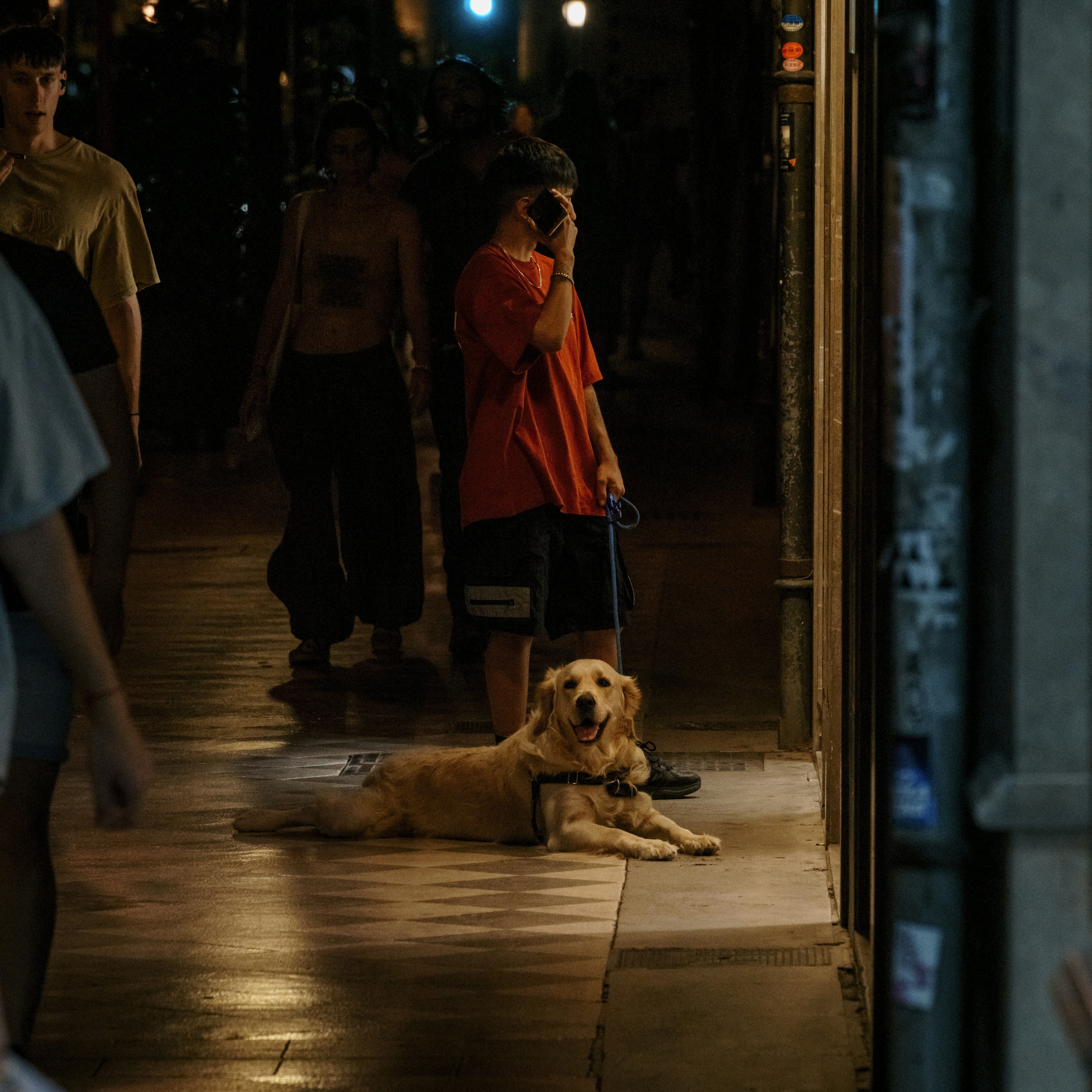A Golden Pause on a Neon-Soaked City Street