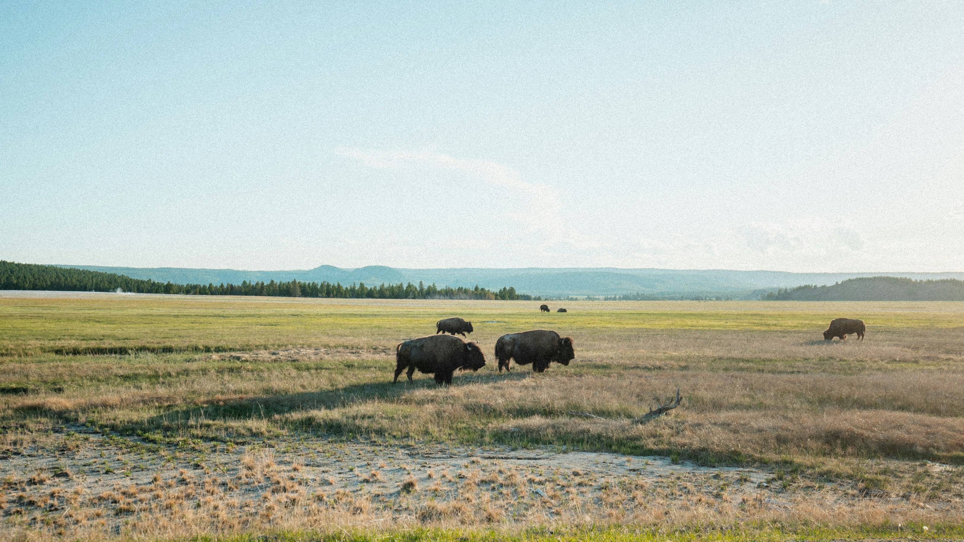 Photo by Andrew Peluso with Canon EOS 5D Mark IV