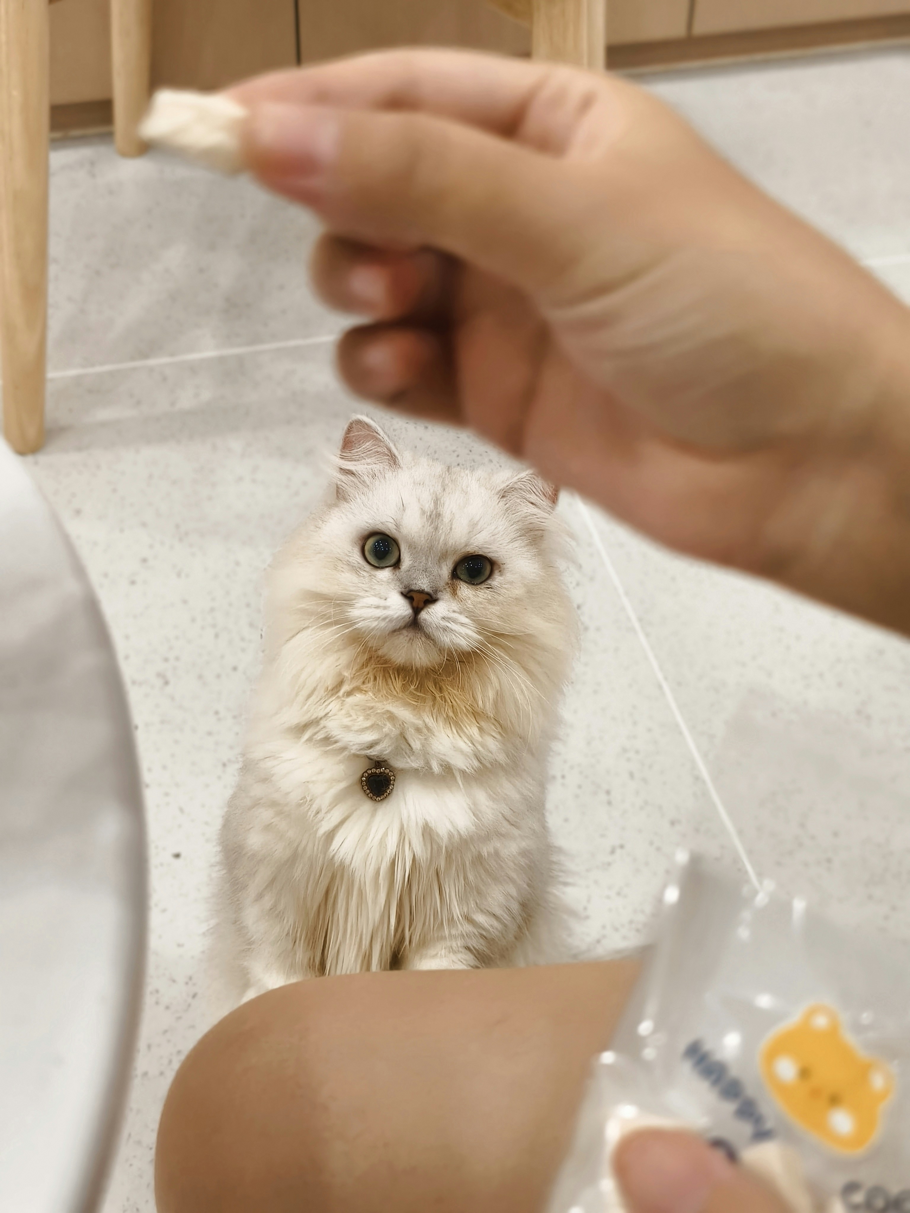 Sample photo from Vivo X100