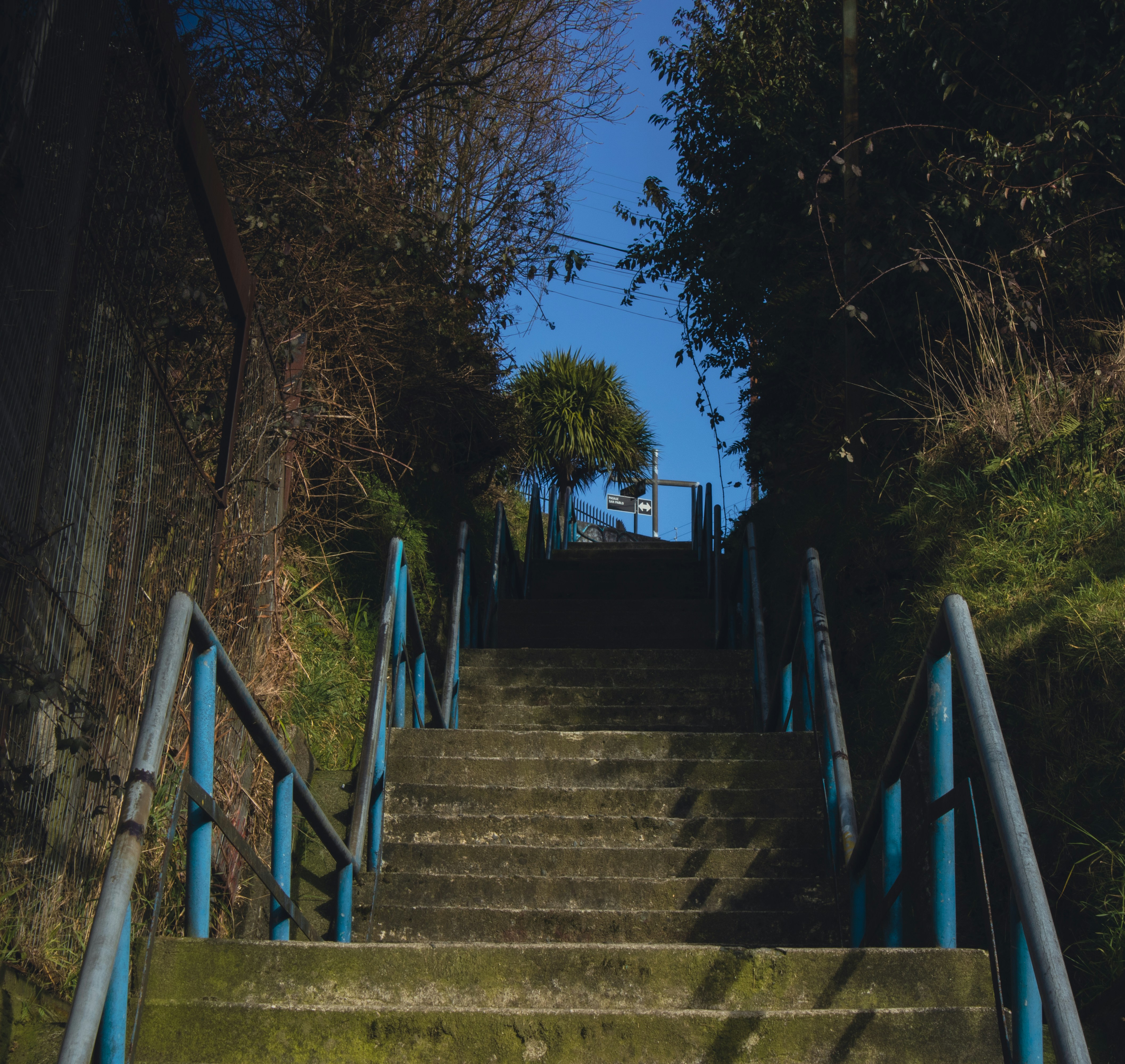 Staircase to the Blue Ridge: Mossy Steps Beneath a Clear Sky