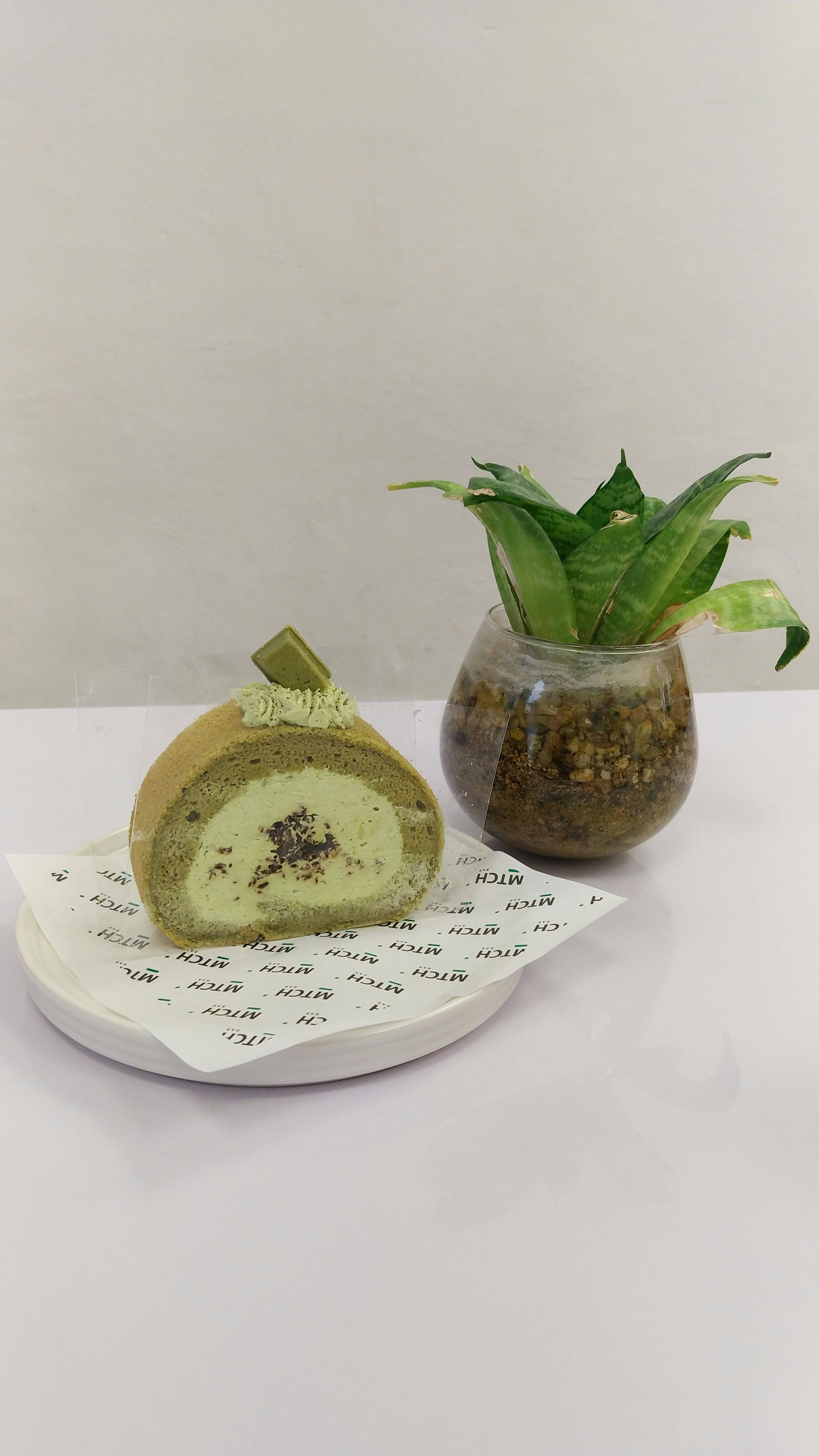 A white table topped with a vase filled with plants photo – Free Mtch ...