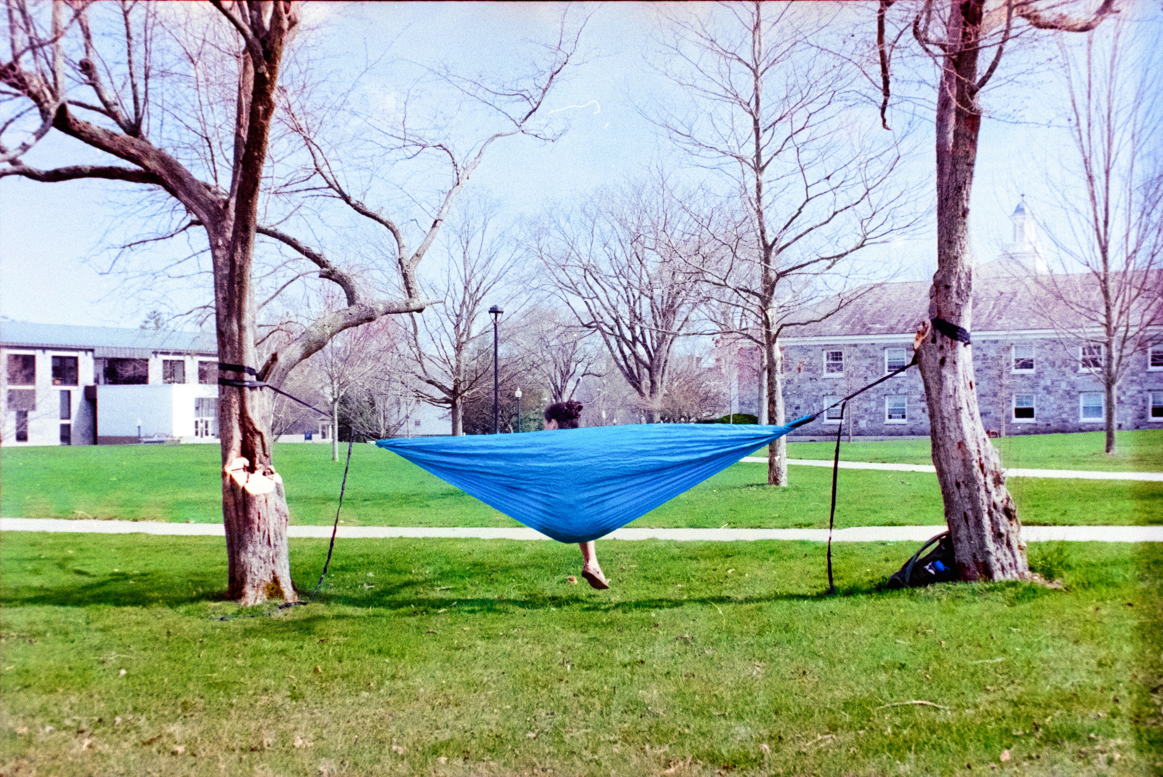 Blue Hammock Between Bare Trees in a Quiet Campus Park