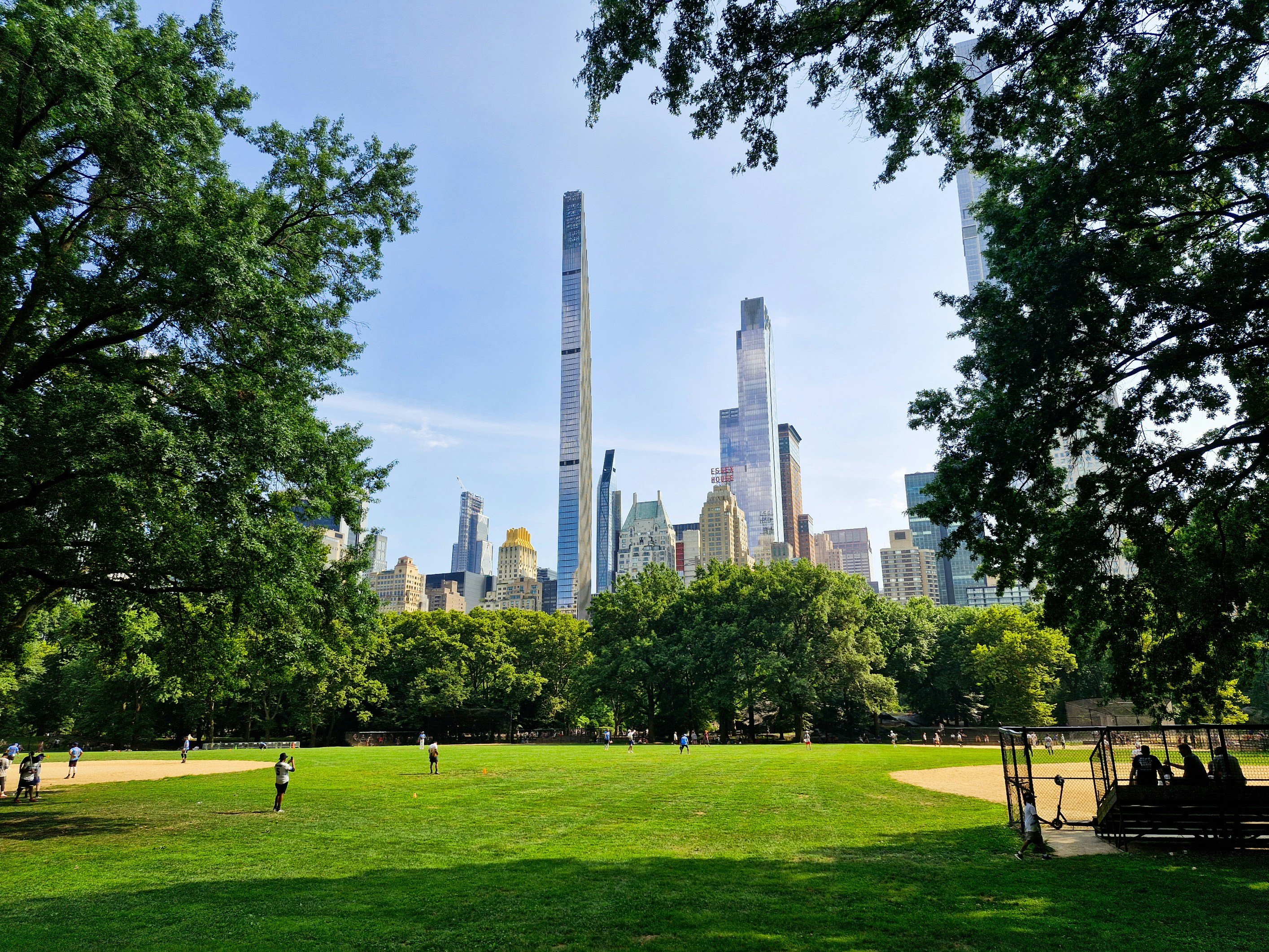Sunlit park lawn with a distant Manhattan skyline rising above the treeline, framed by leafy borders.