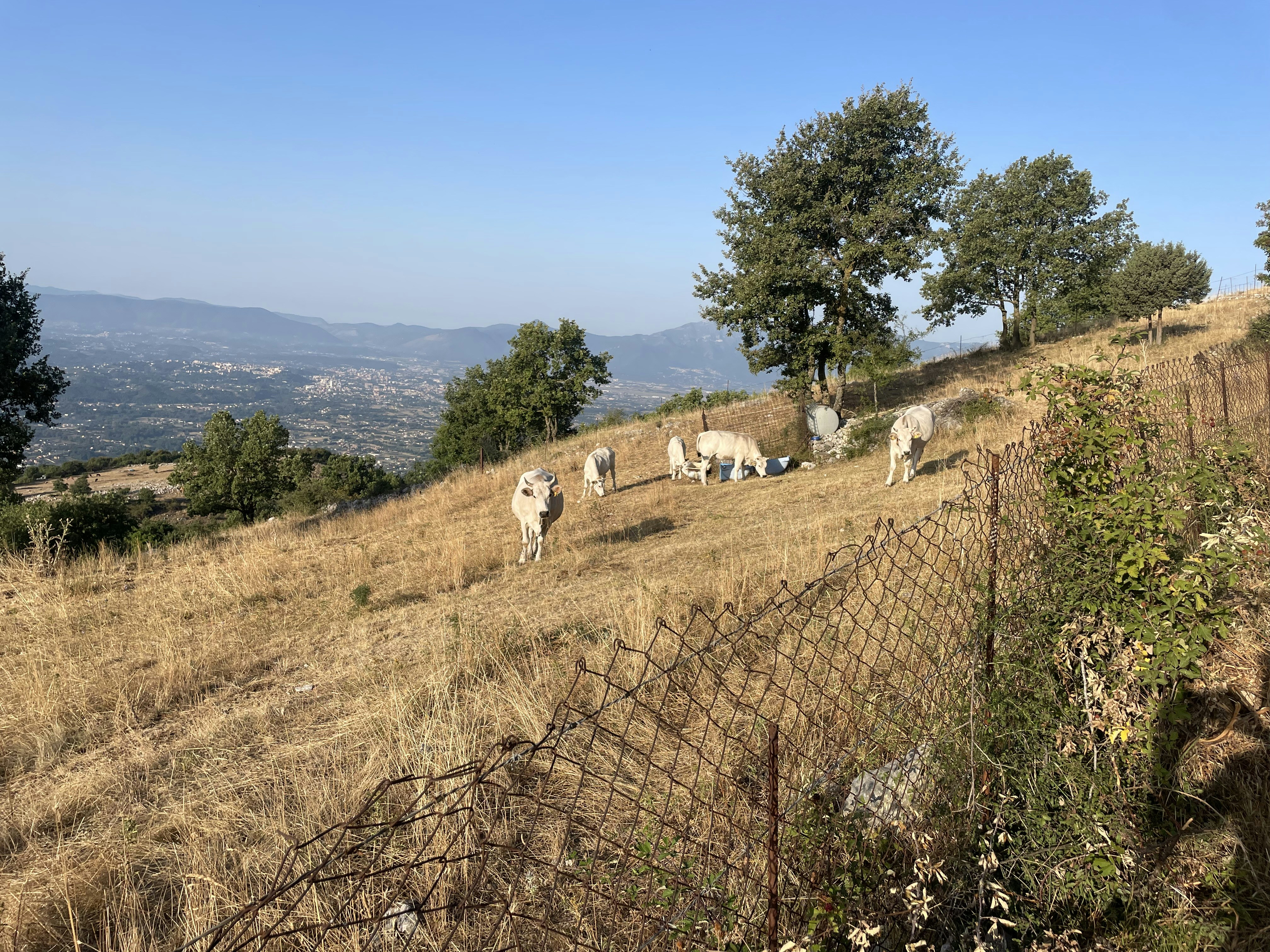 Photo by Lorenzo Maranci with Apple iPhone 12