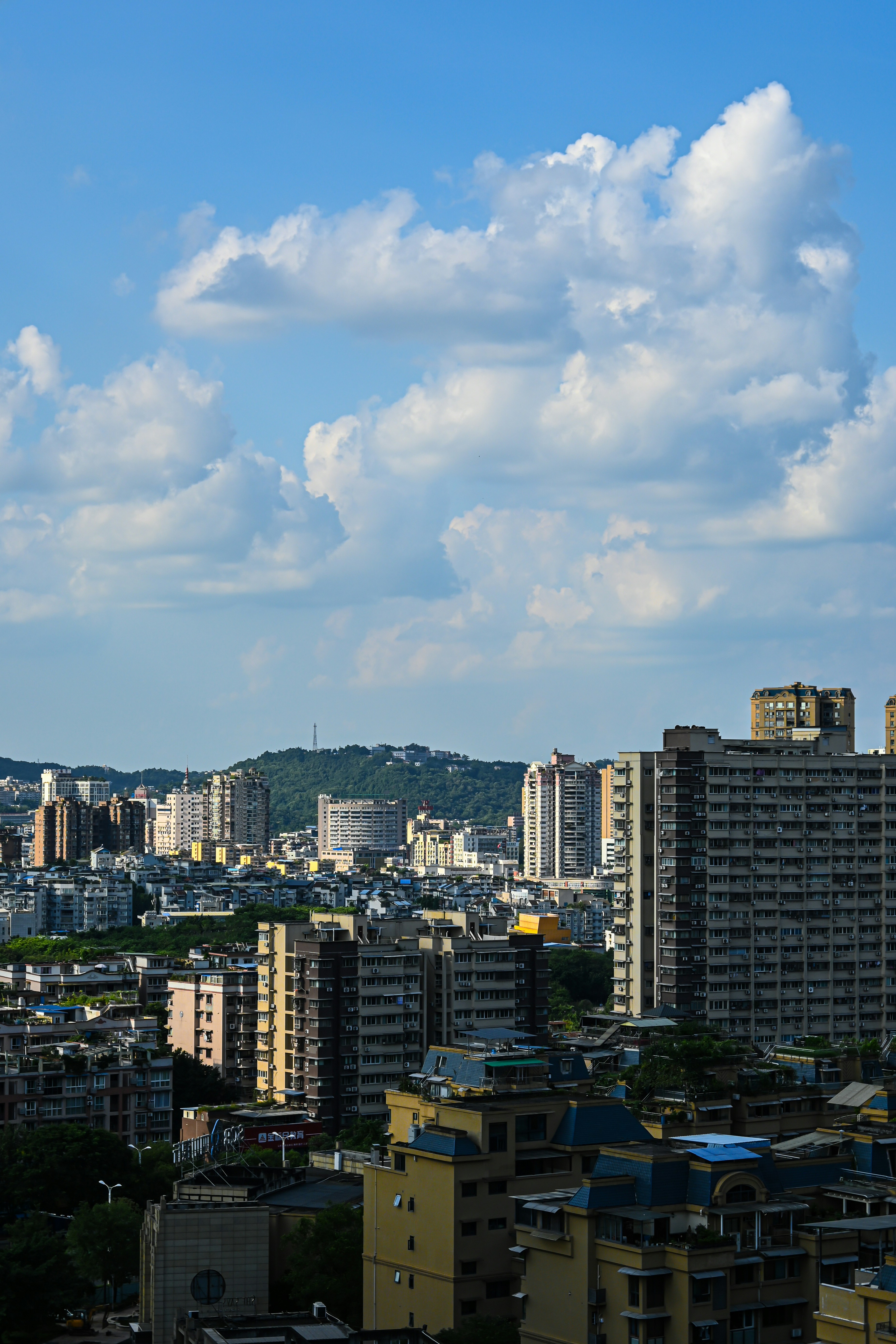 Photo by Kexin Huang with Nikon Z30