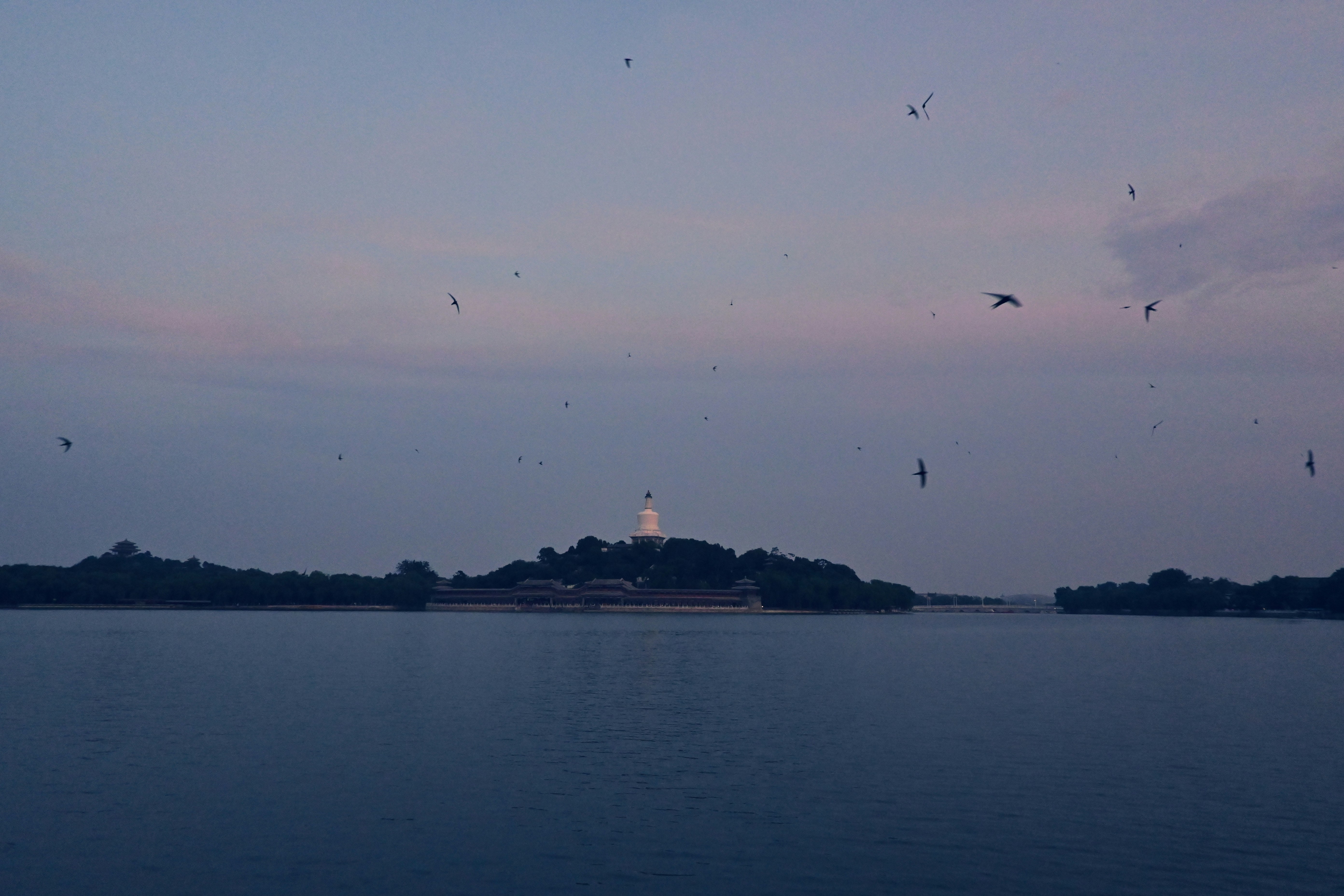 sunset | A large body of water with a small island in the background