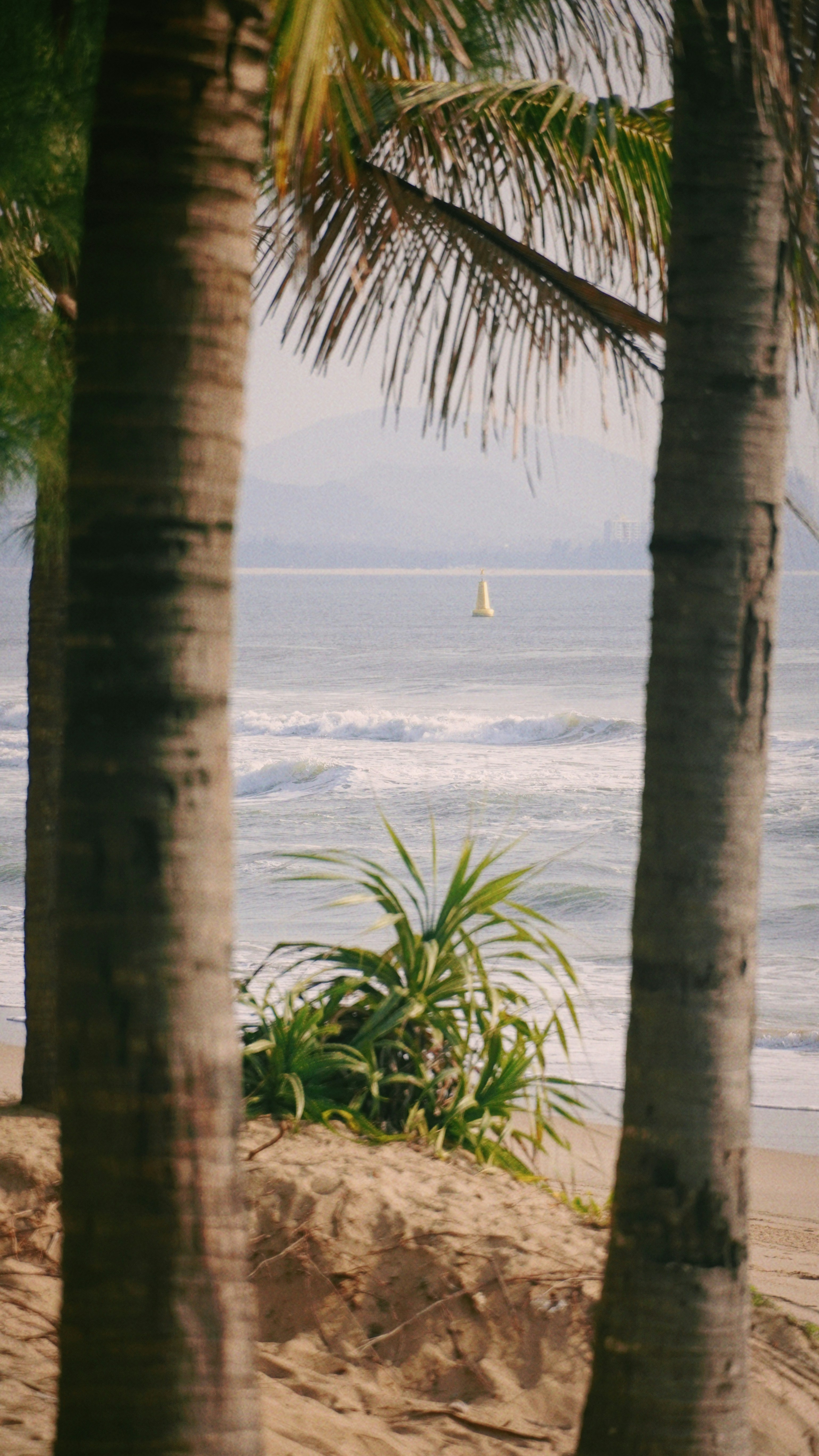 Photo by Yidai Song with Sony Alpha 6400