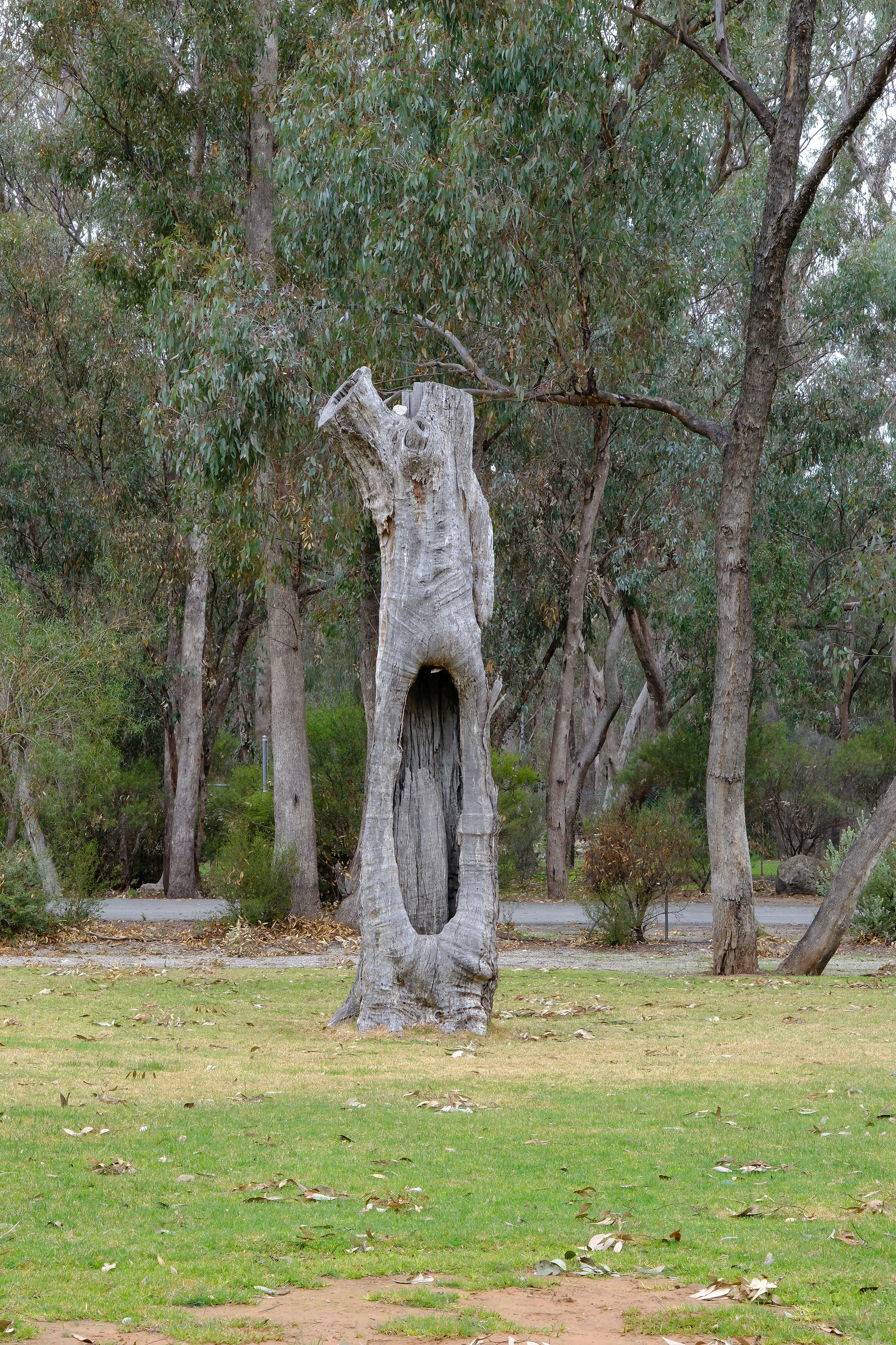 The Hollow Gate: A Weathered Sentinel Emerges in the Park