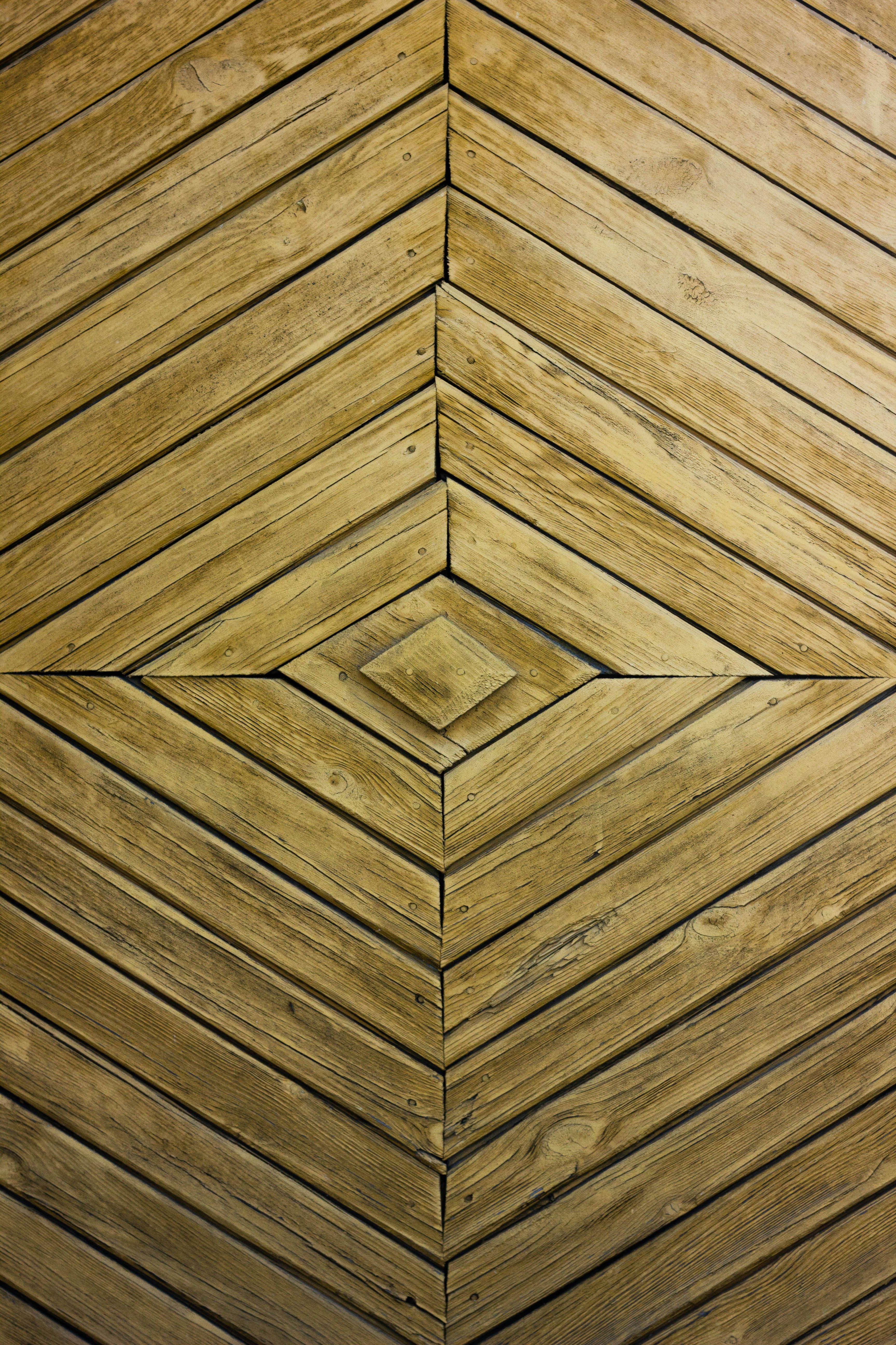 Photo by Evgeniya Ivchenko with Canon EOS 550D