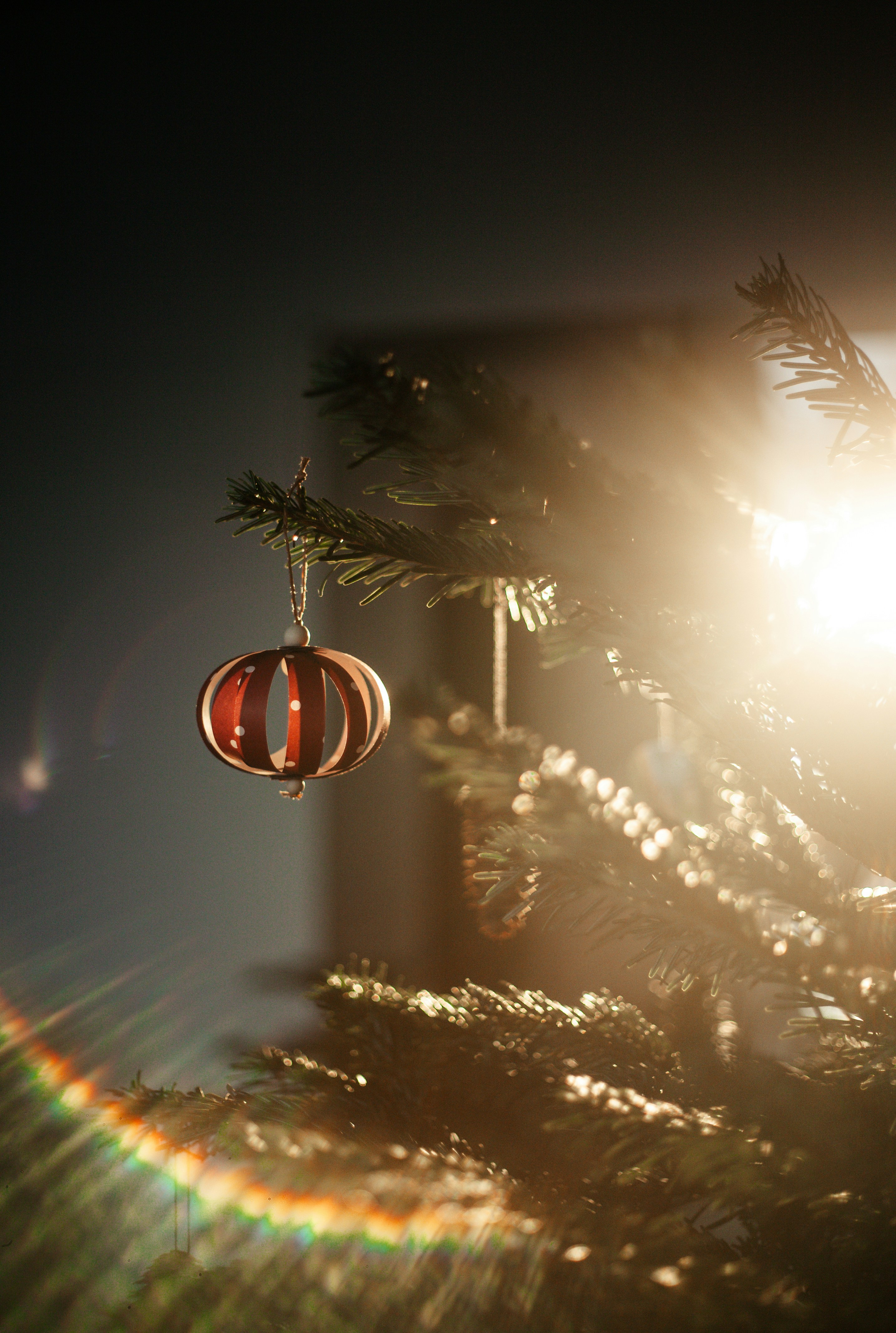 A christmas tree with a red ornament hanging from it photo – Free Light ...